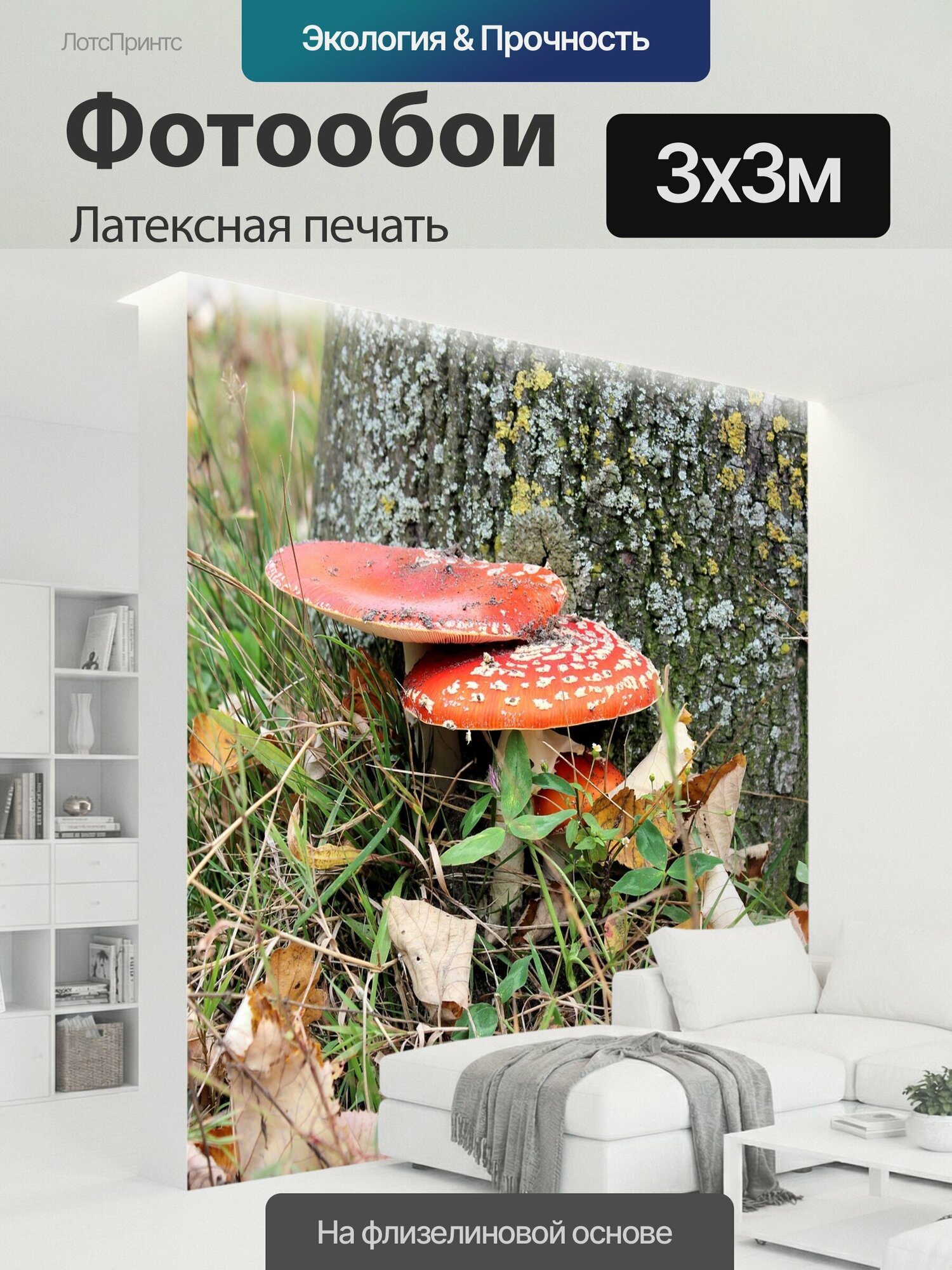 Фотообои моющиеся ударопрочные "Гриб, красный с белыми точками, осень" 300x300 см. латексная печать