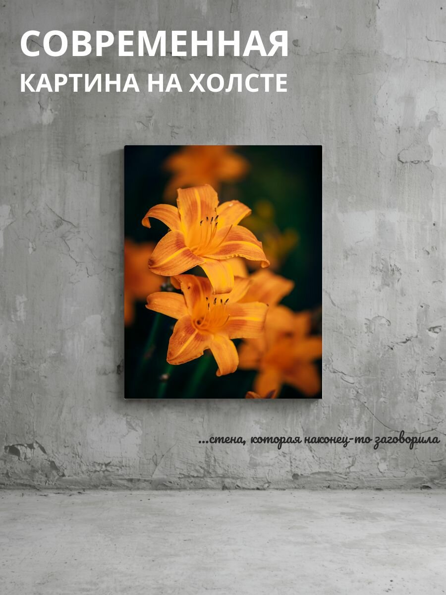Картина на холсте Лилии 30x40 см