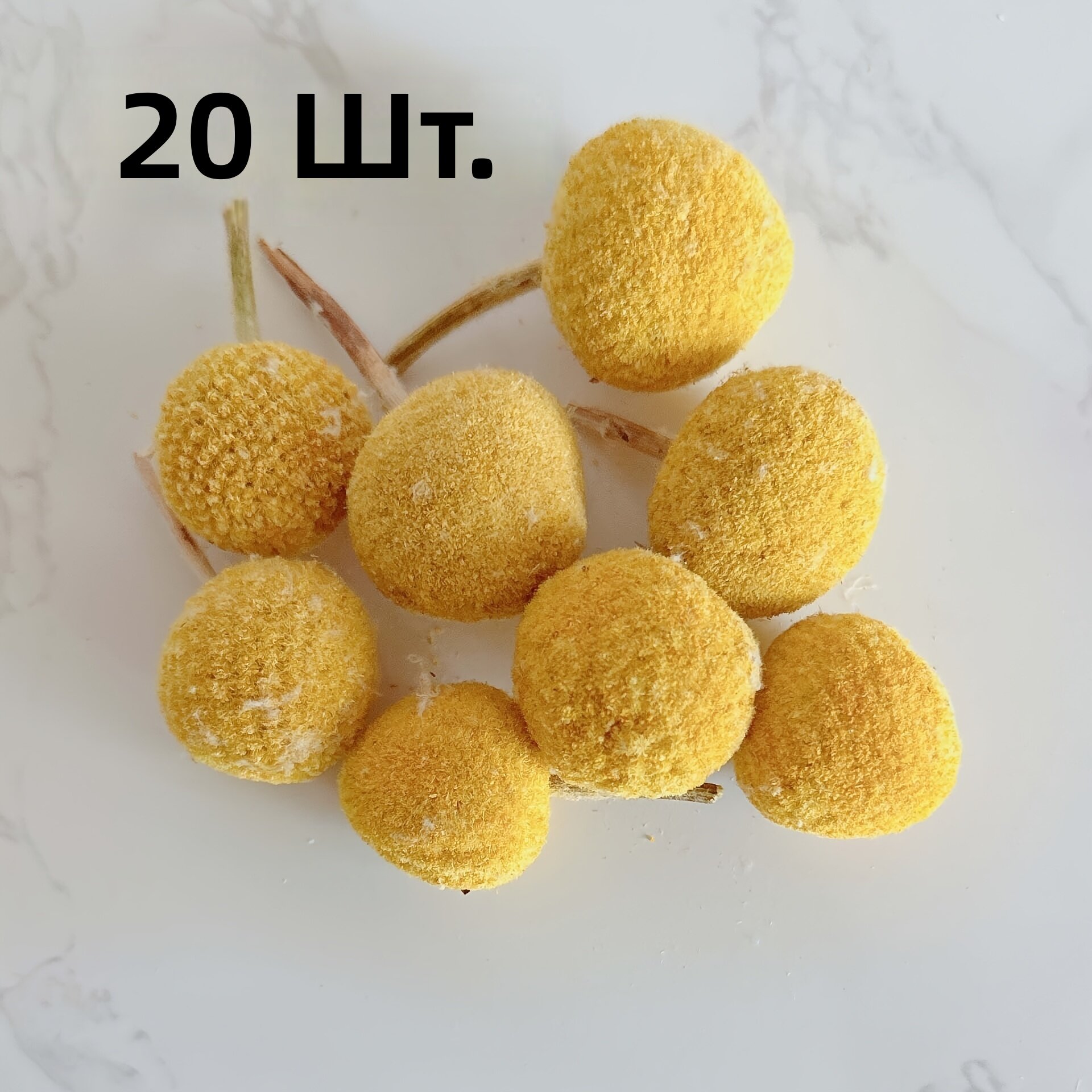 Сушеные фрукты и растения для творчества и декора, 20 шт, золотой шар