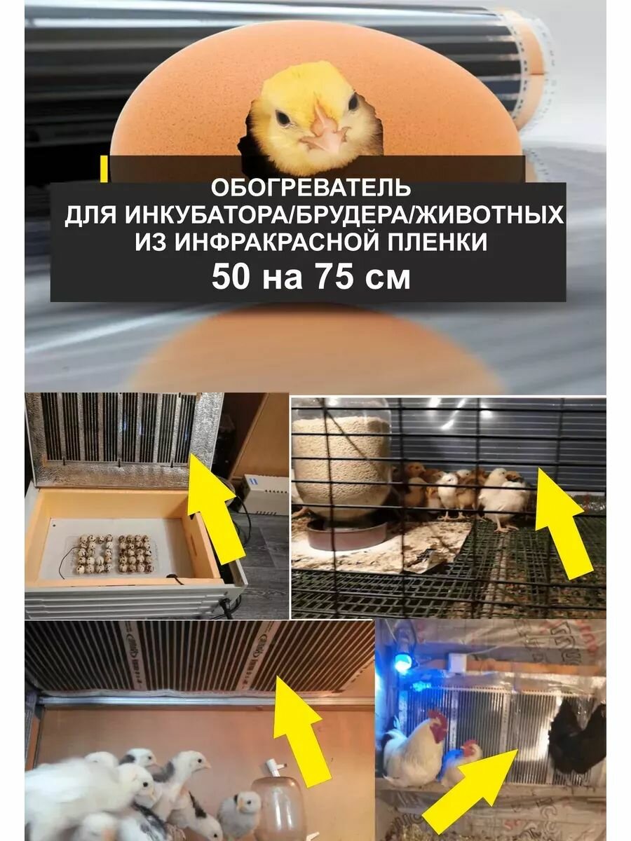 Обогреватель для инкубатора, брудера, курятника, будки 75х50