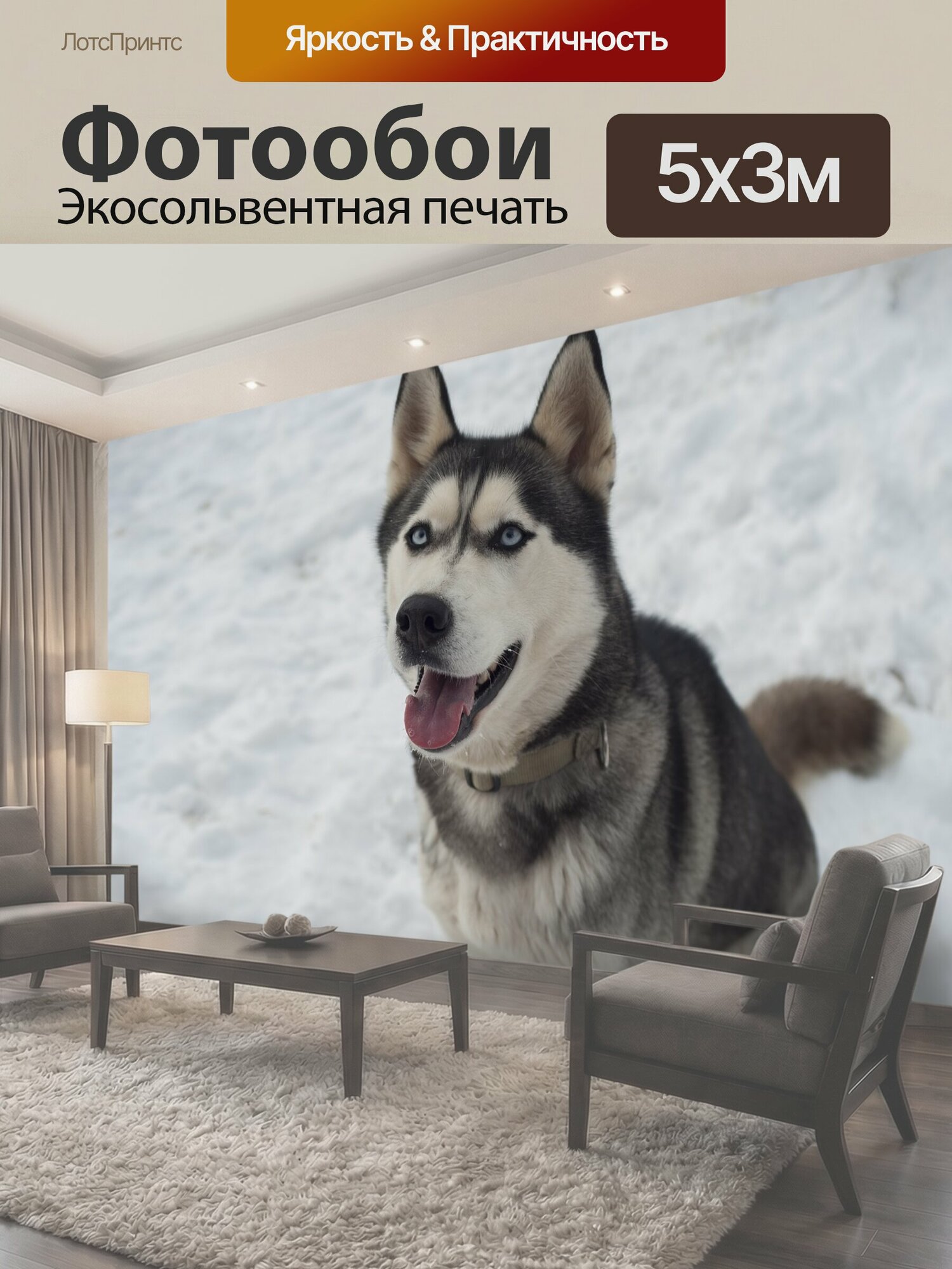 Фотообои "Хаски, собака, сибирский хаски" 500x300 см. экосольвентная печать