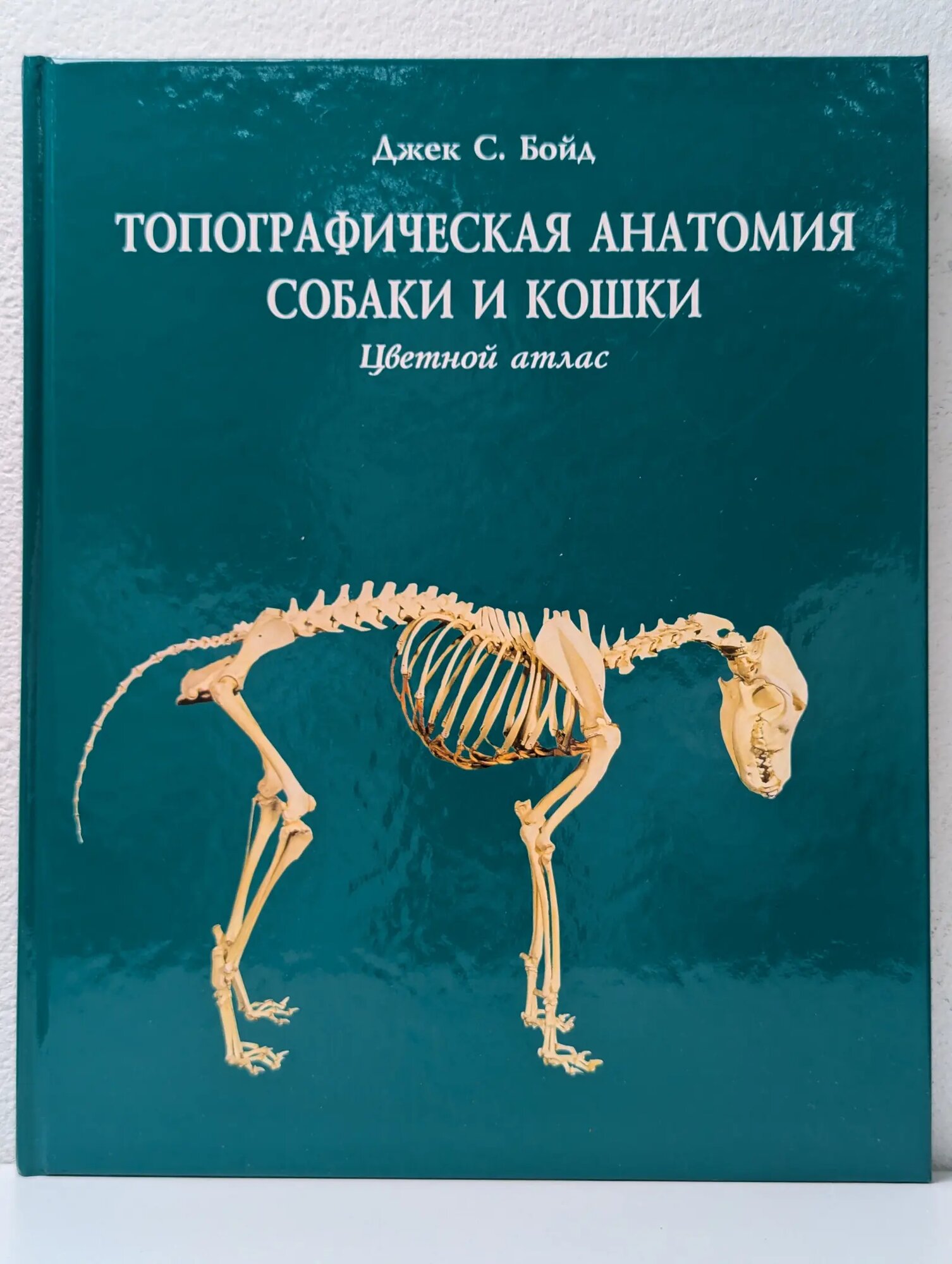 Топографическая анатомия собаки и кошки Бойд Джек С. 1998