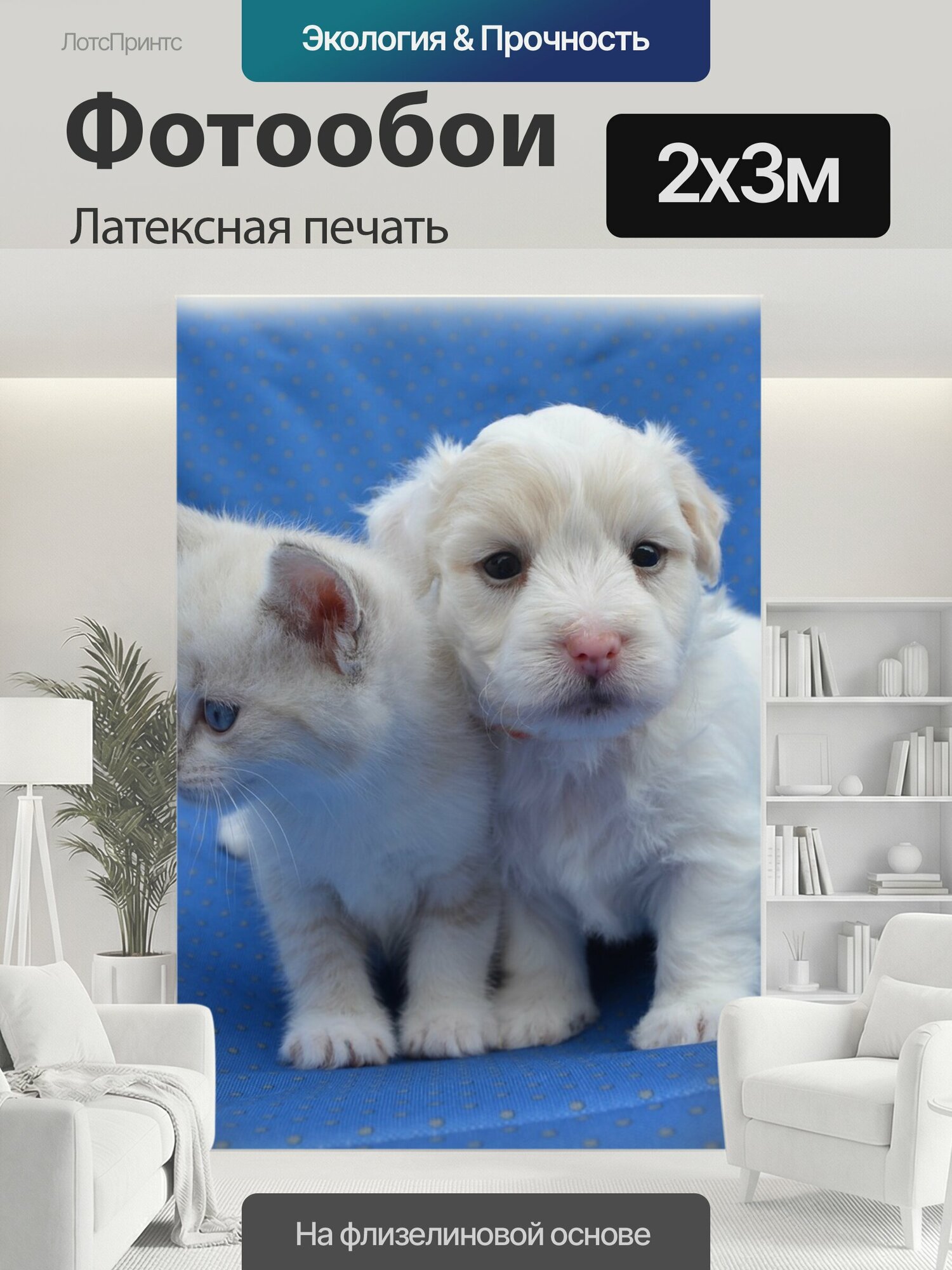 Фотообои моющиеся ударопрочные "Котенок щенок, щенок котенок, собака кошка" 200x300 см. латексная печать