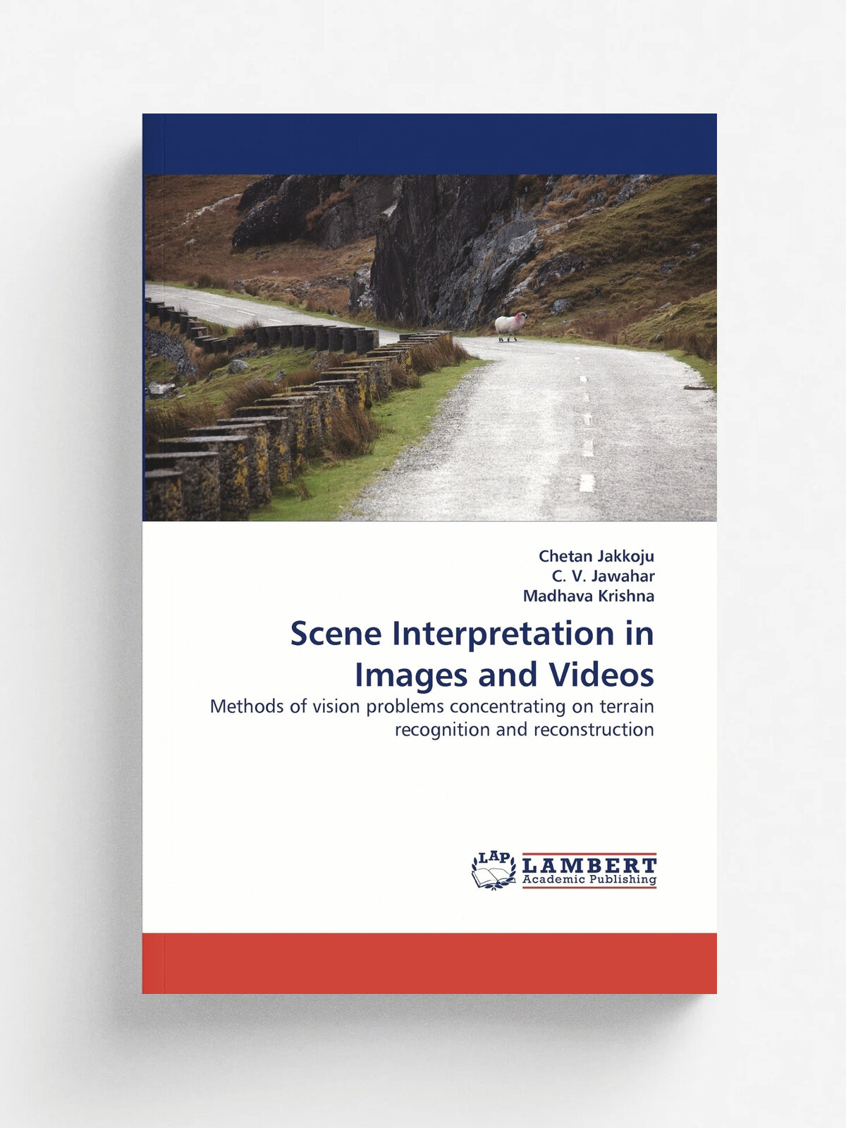 Scene Interpretation in Images and Videos