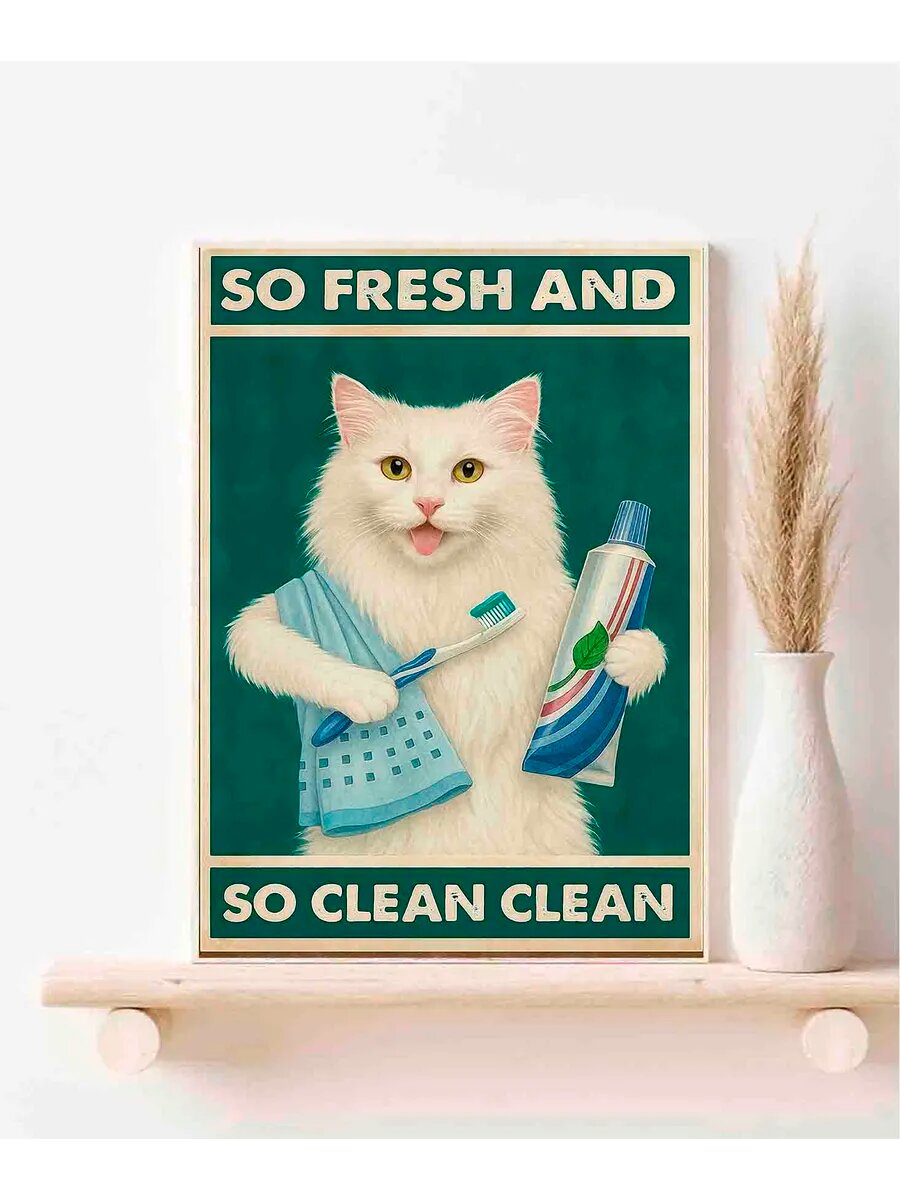 Турецкая ангорская кошка So Fresh And So Clean Clean, Плака