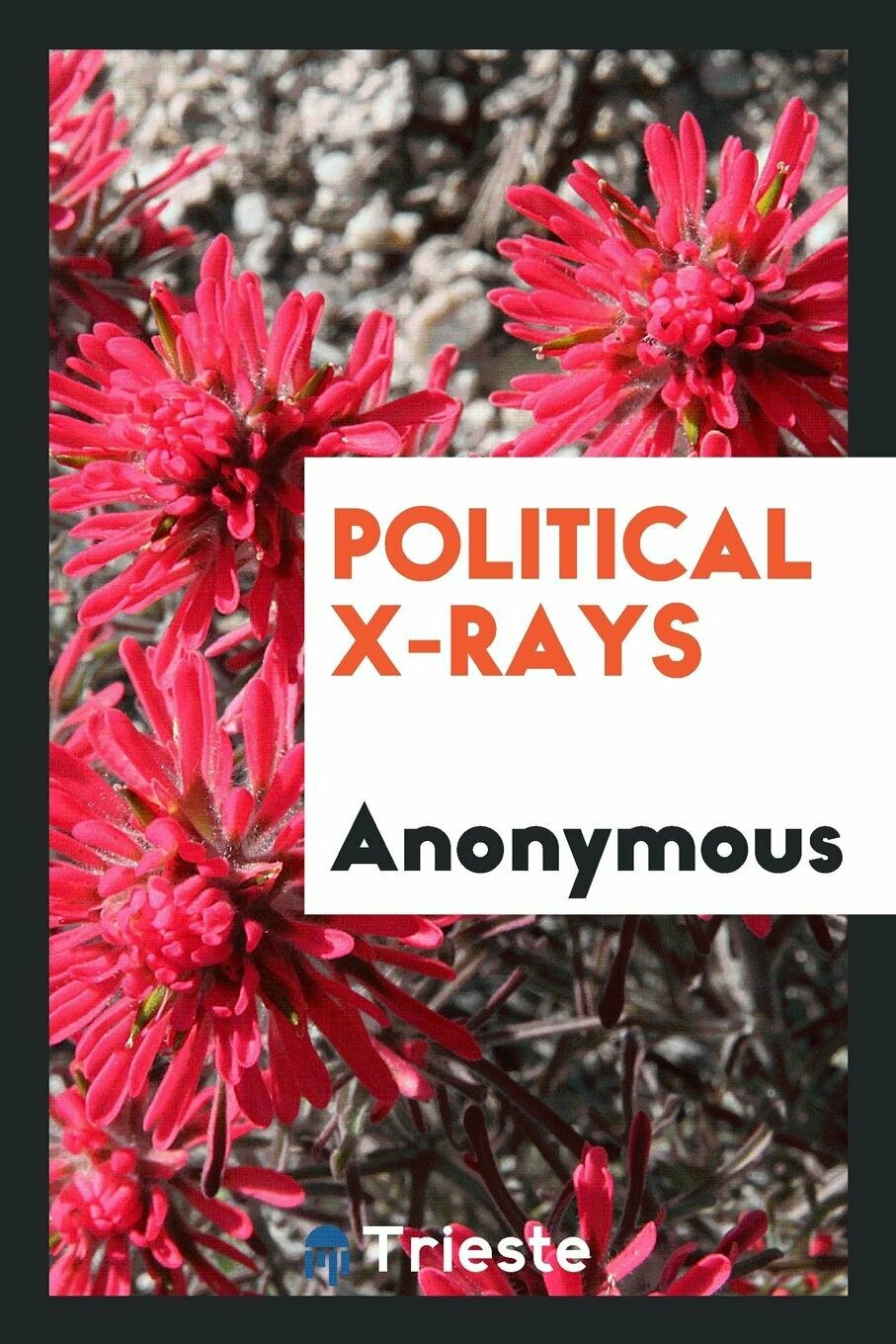 Political x-rays — фото 1