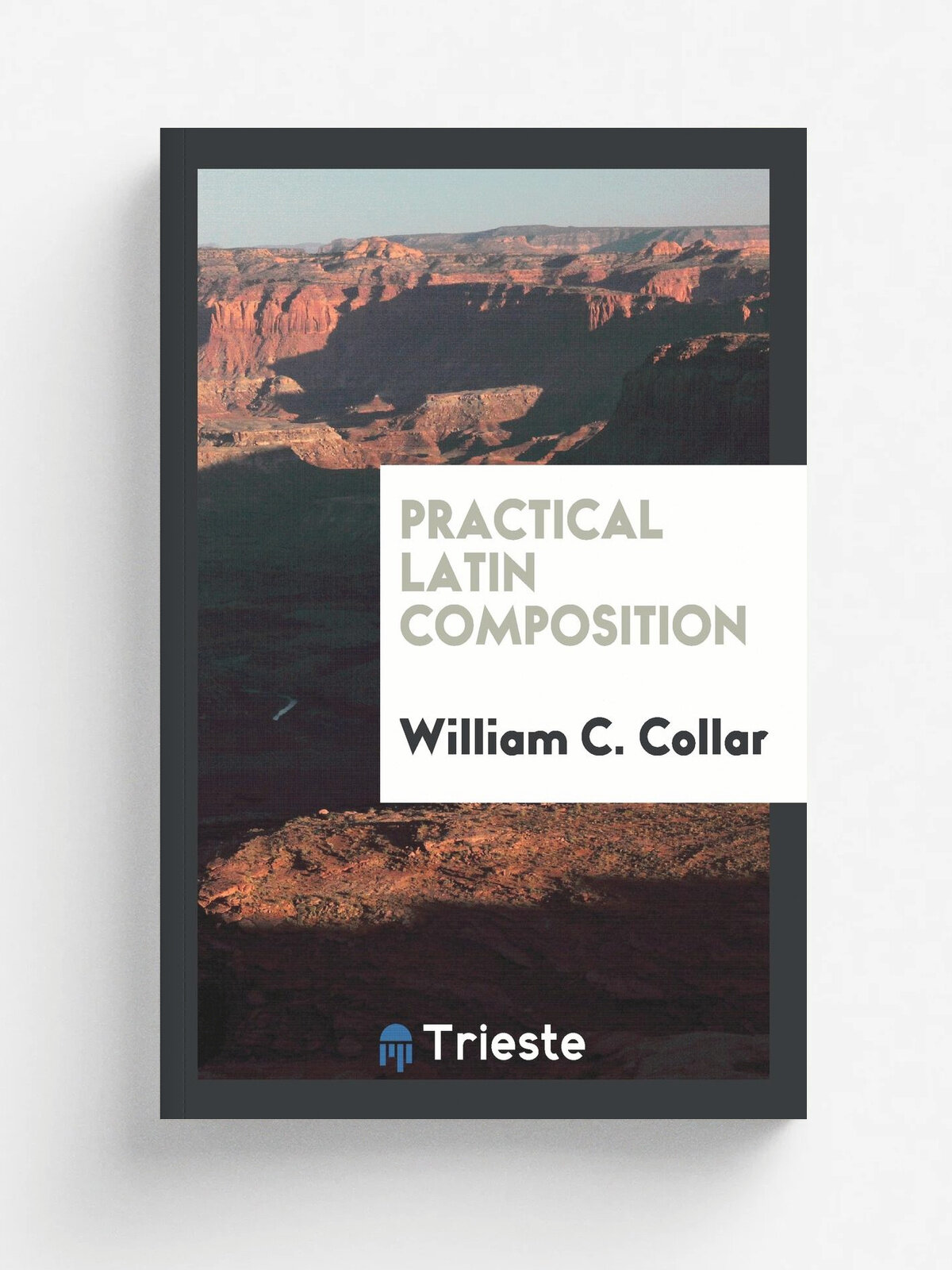 Practical Latin Composition