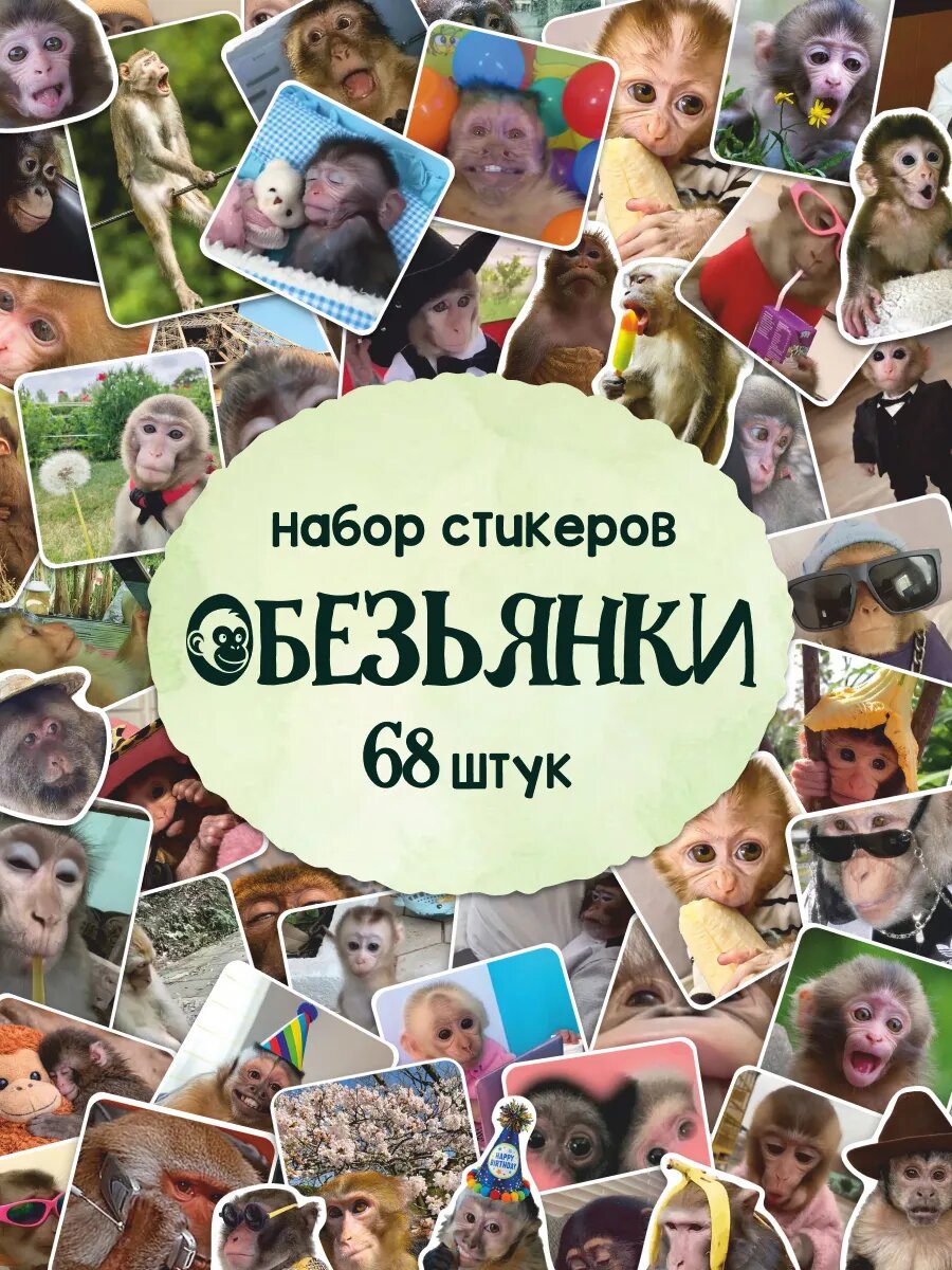 Наклейки для скрапбукинга Обезьяна мем