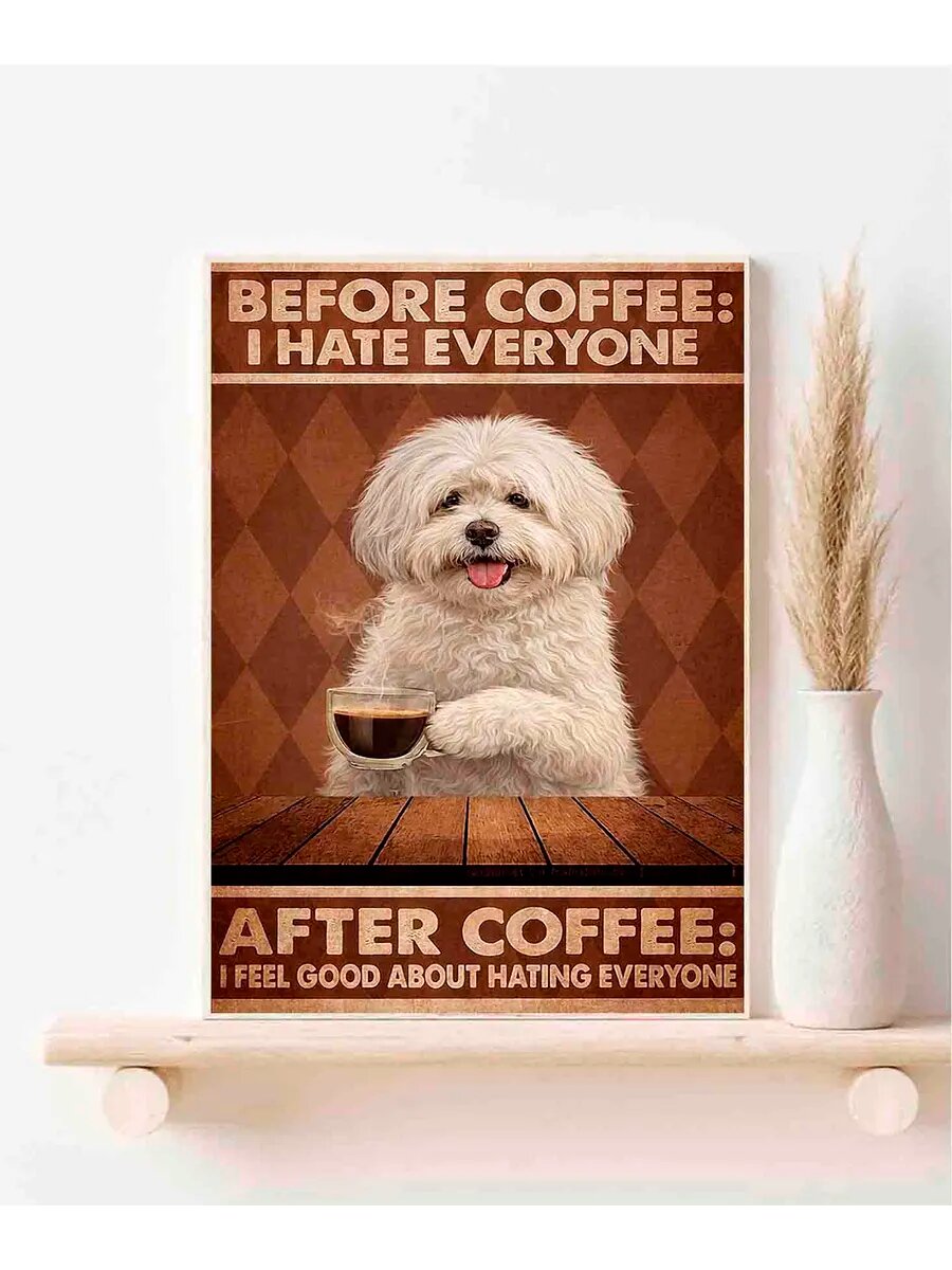 Котон-де-тулеар, Before After Coffee, Плакат 30x42см