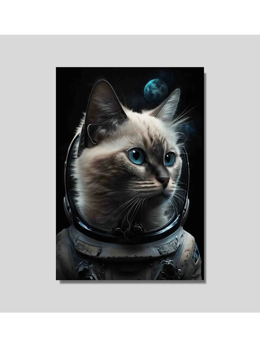Балийский кот-космонавт 3, Плакат 30x42см