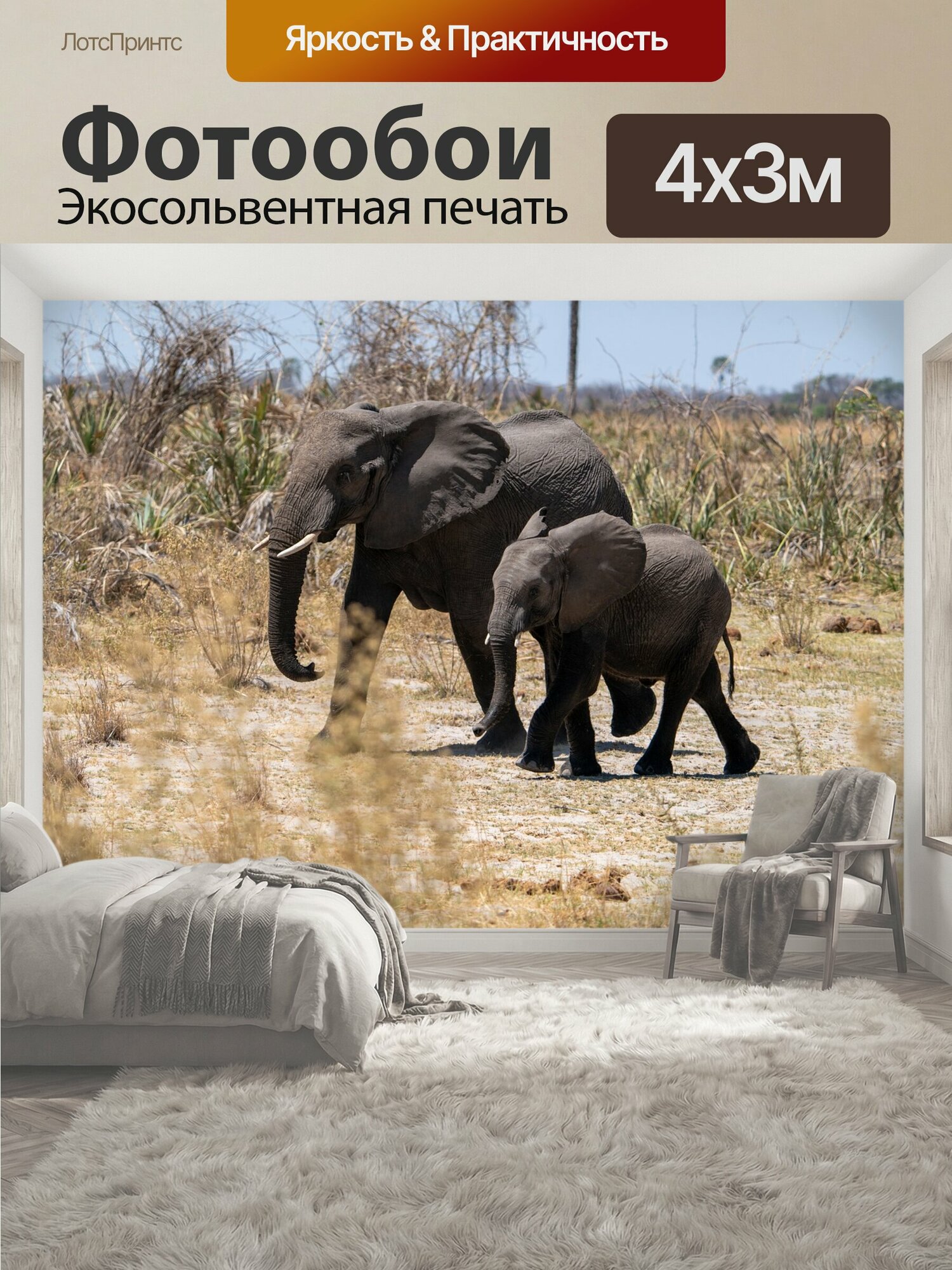 Фотообои "Слоны, телец, сафари" 400x300 см. экосольвентная печать
