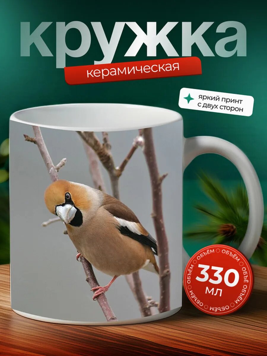 Кружка Дубонос птица 17,