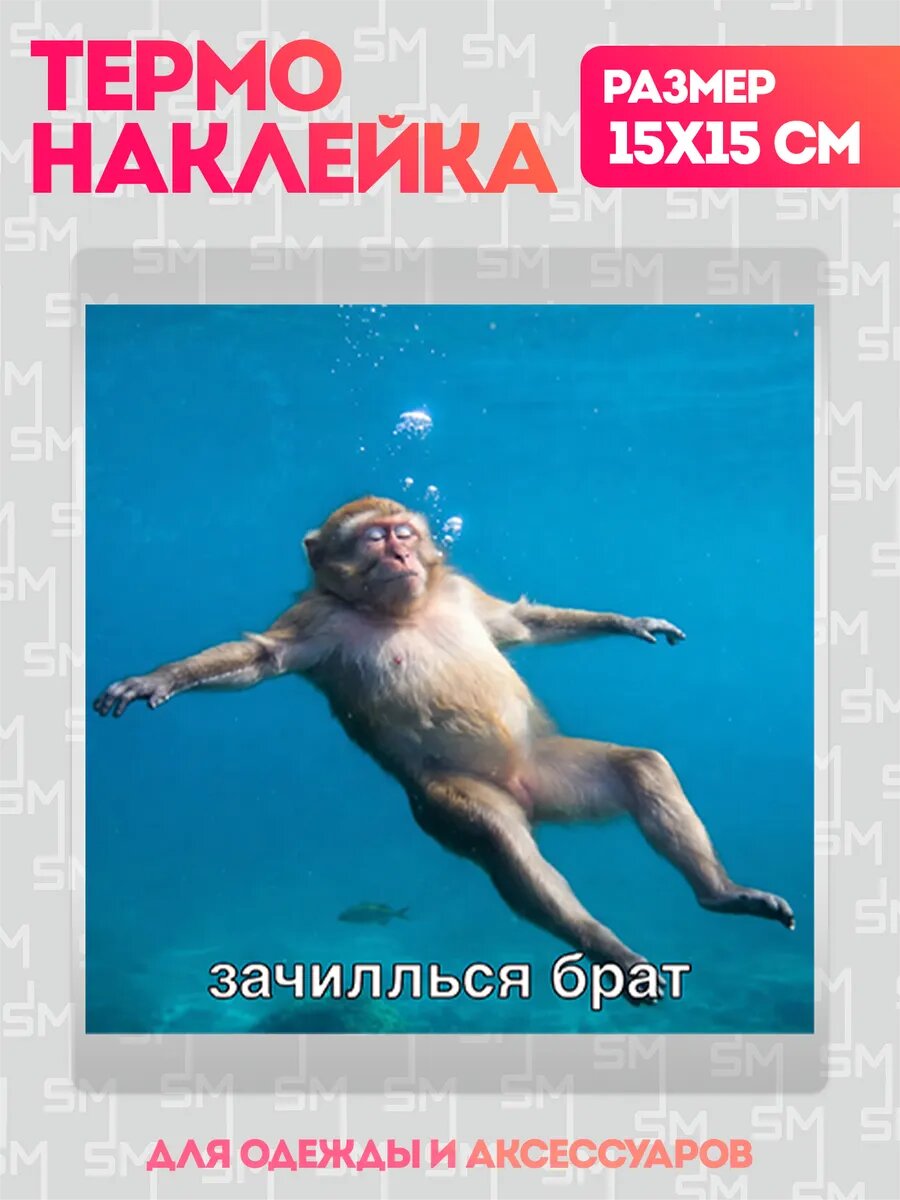 Термонаклейка на одежду обезьяна мем чилл