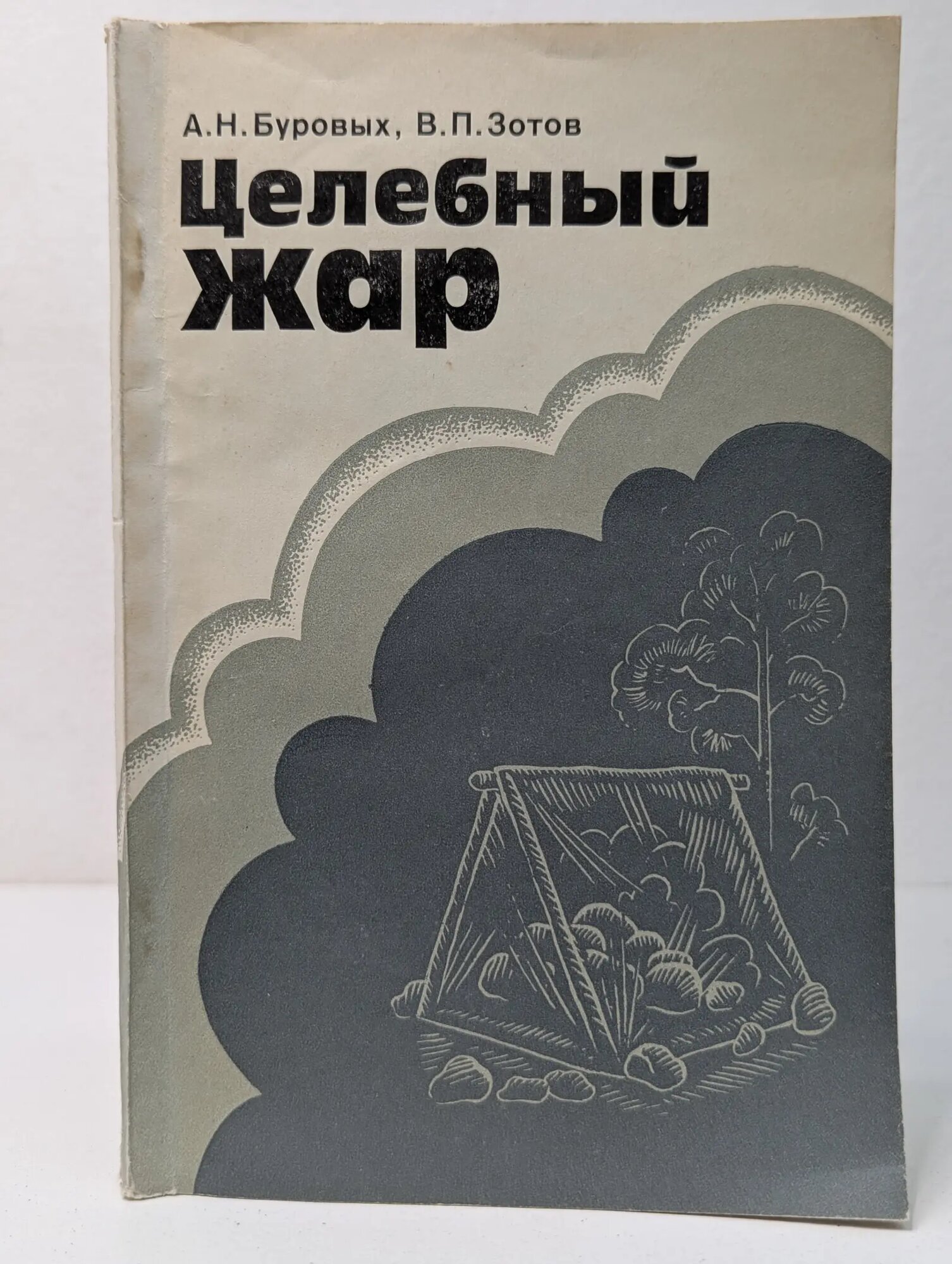 Целебный жар Буровых Александр Николаевич, Зотов Владимир Павлович 1984