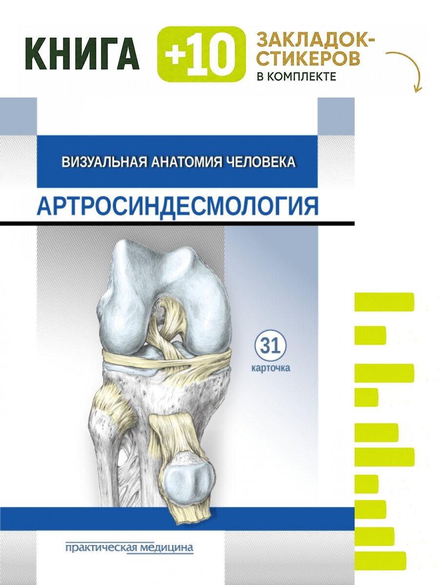 Визуальная анатомия человека. Карточки. Артросиндесмология (31шт.). Комплект: книга + 10 закладок-стикеров