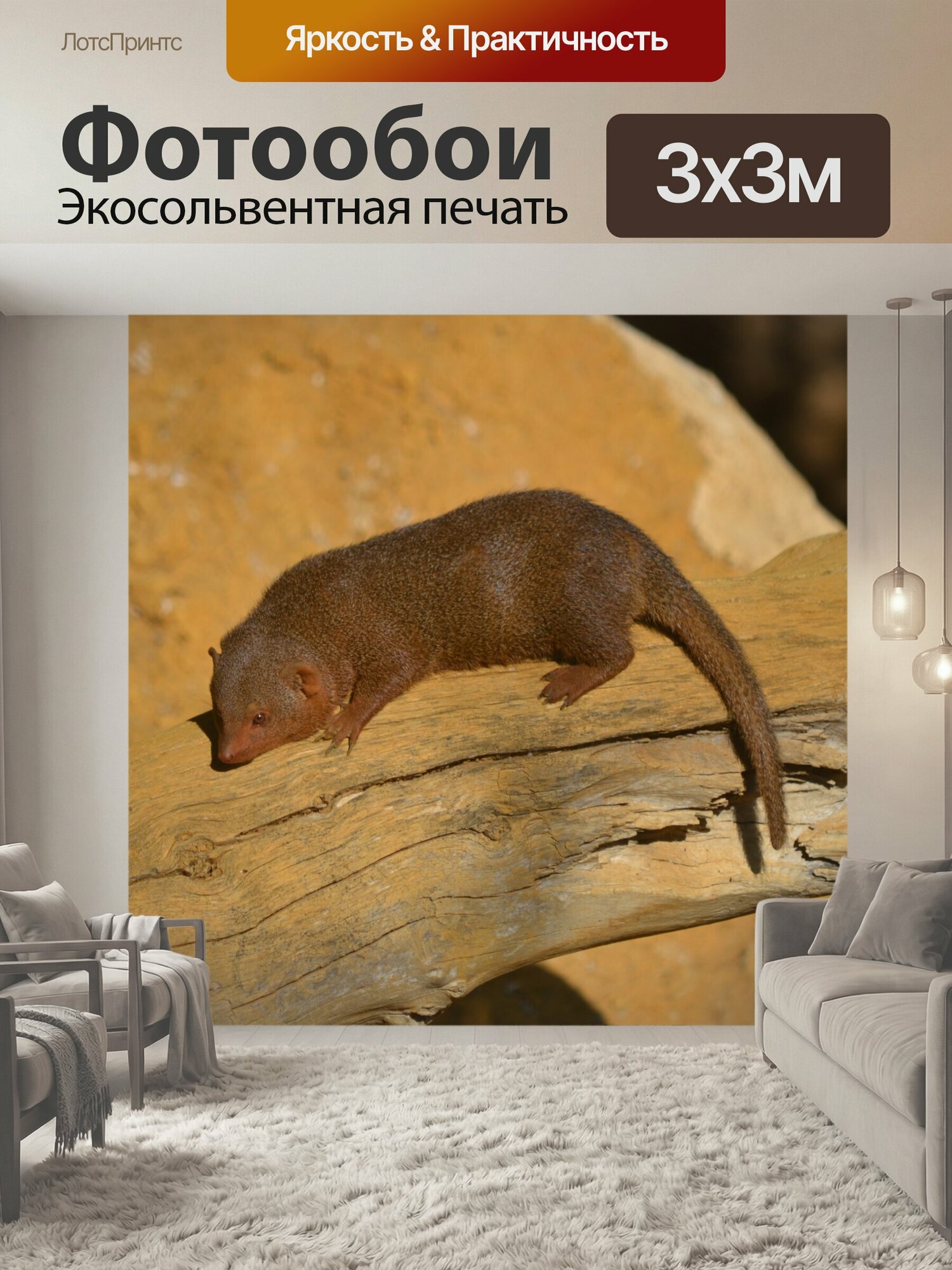 Фотообои "Миниатюрный Мангуст Миниатюрный Мангуст мангуст миниатюра дикий природа животный мир зоопарк животные" 300x300 см. экосольвентная печать