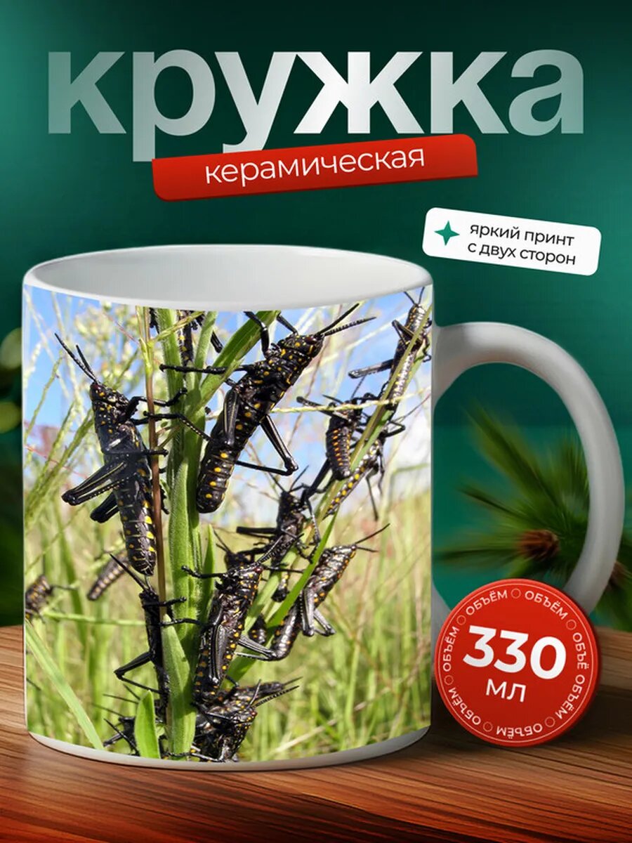 Кружка Саранча насекомое 9,