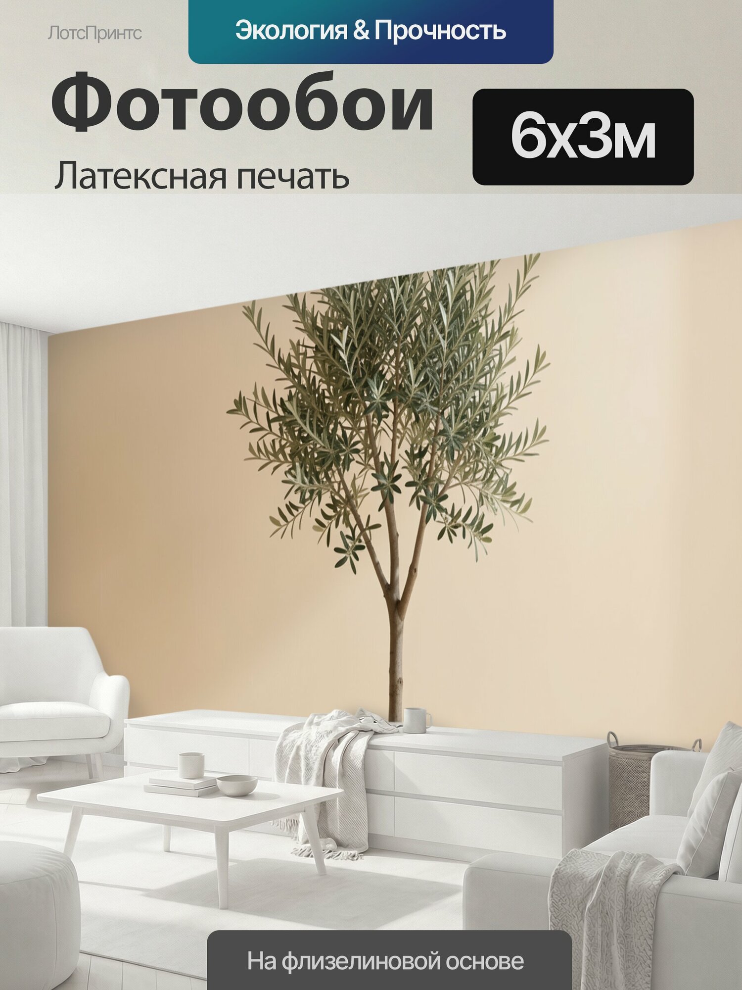 Фотообои моющиеся ударопрочные "Оливковое дерево в горшке. Изящное комнатное деревце с тонким стволом и густой серебристо-зеленой кроной, в белом." 600x300 см. латексная печать