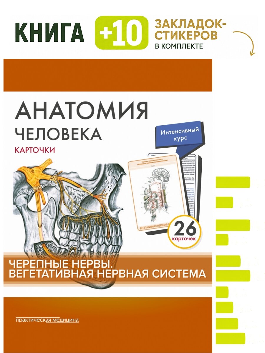 Анатомия человека. Черепные нервы. Вегетативная нервная система. (26 карточек). Комплект: книга + 10 закладок-стикеров