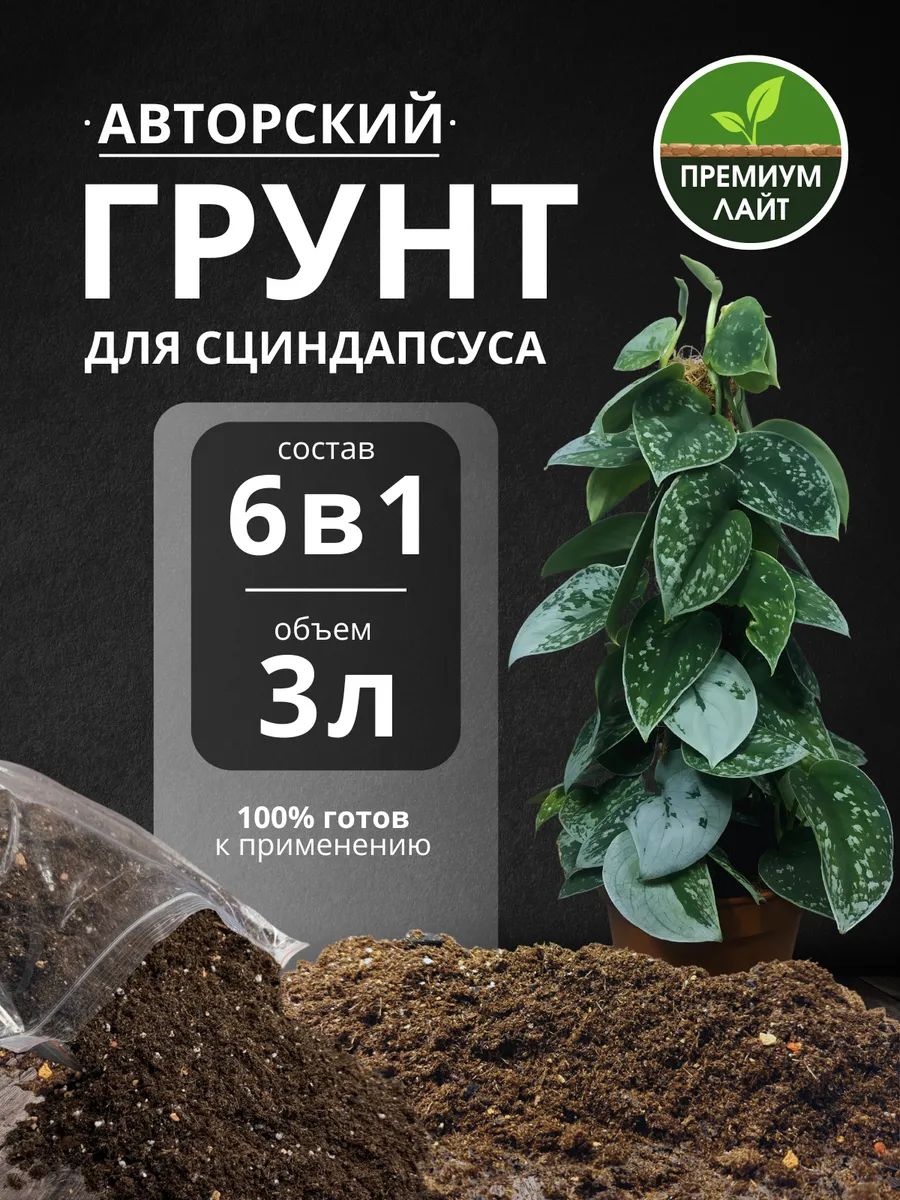 Грунт для Сциндапсуса 3л готовый лайт