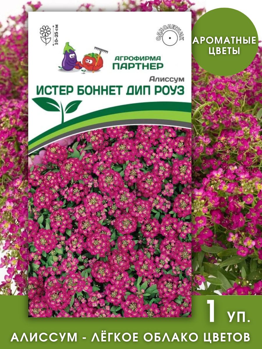 Семена цветов алиссум