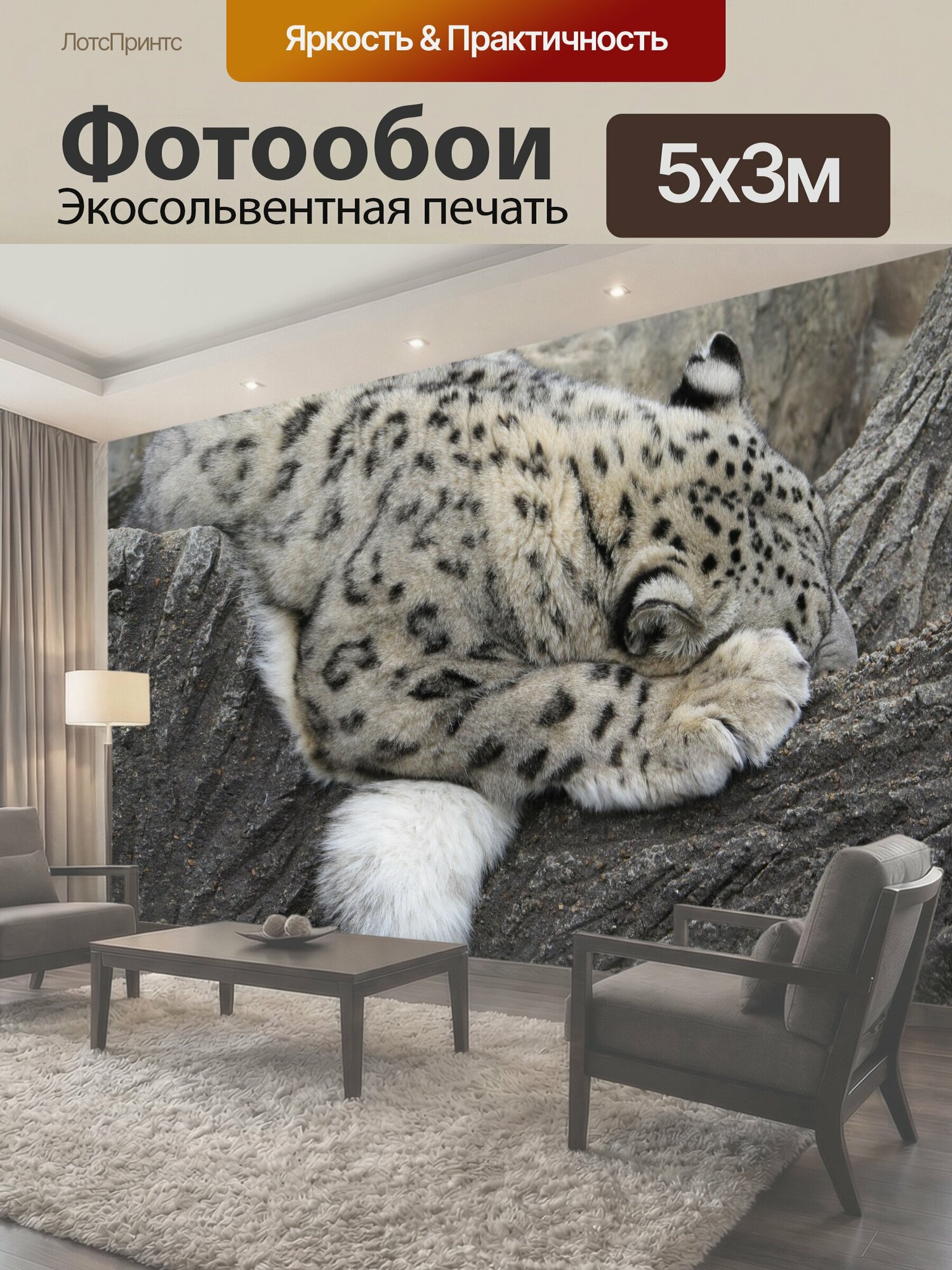 Фотообои "Спящий Snow Leopard Снежный барс спит на дереве в своем зоопарке корпус снежный барс большая кошка спит дерево зоопарк кошачий." 500x300 см. экосольвентная печать