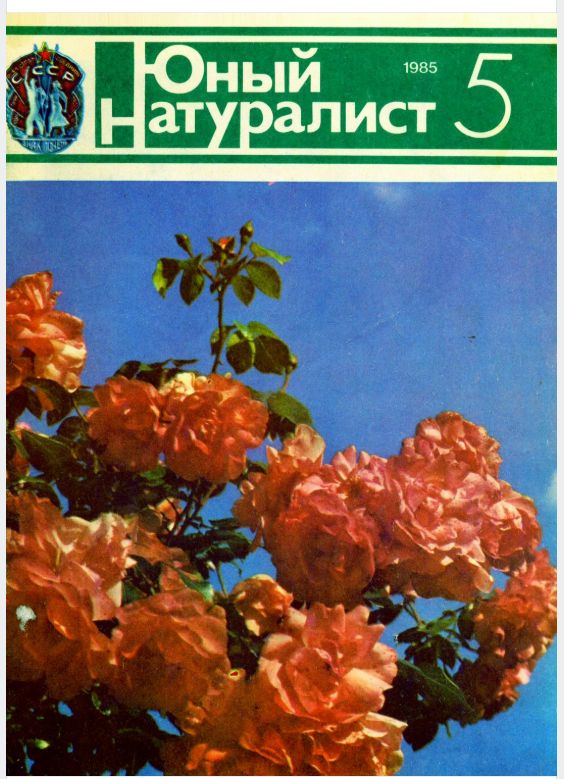 Журнал Юный натуралист №05 1985 г.