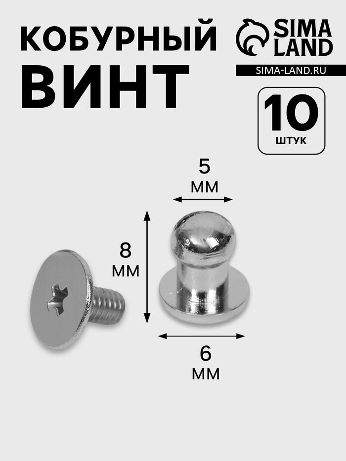 Кобурный винт d=5/6×8 мм, 10 шт, цвет серебряный