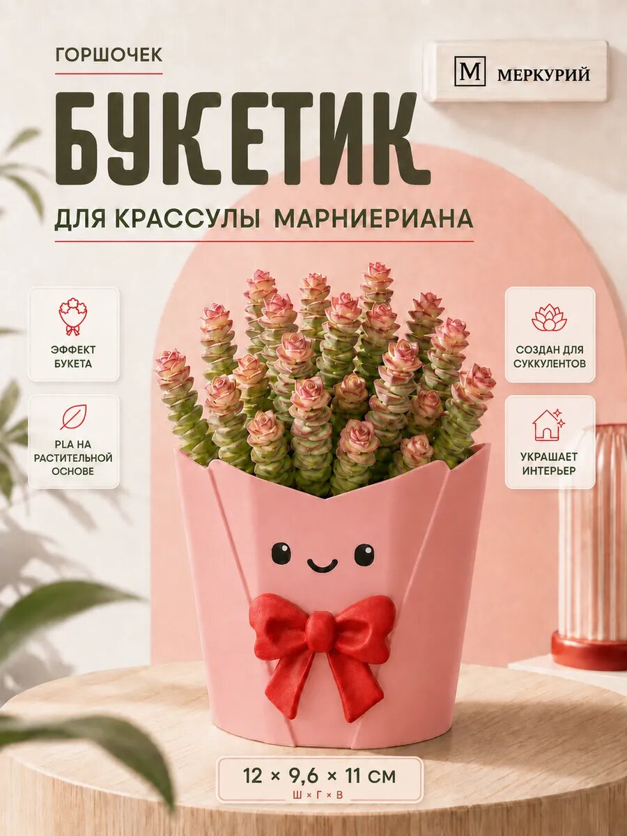 Горшок для цветов кактусов алое и суккулентов