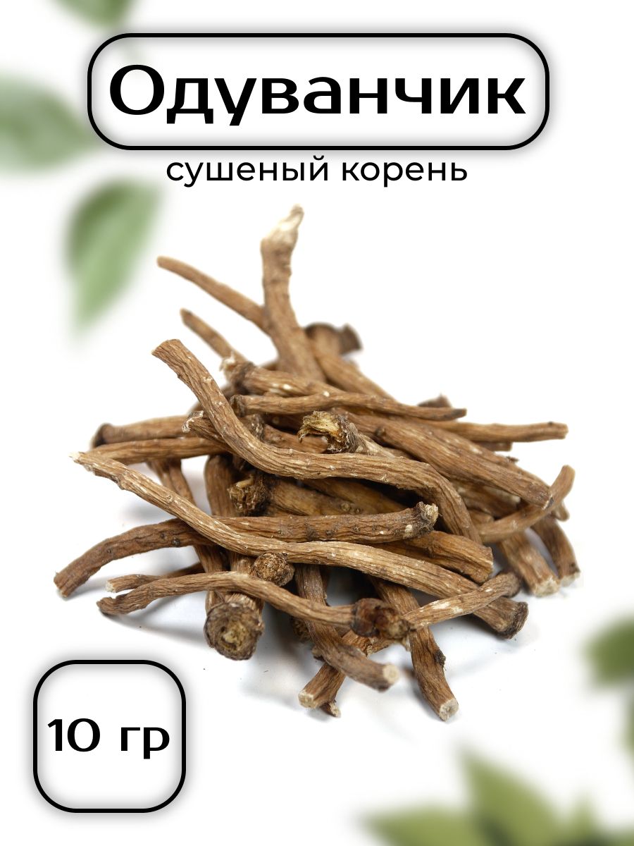 Одуванчик лекарственный сушеный корень 10 гр - сухоцветы для свечей, творчества и ритуалов
