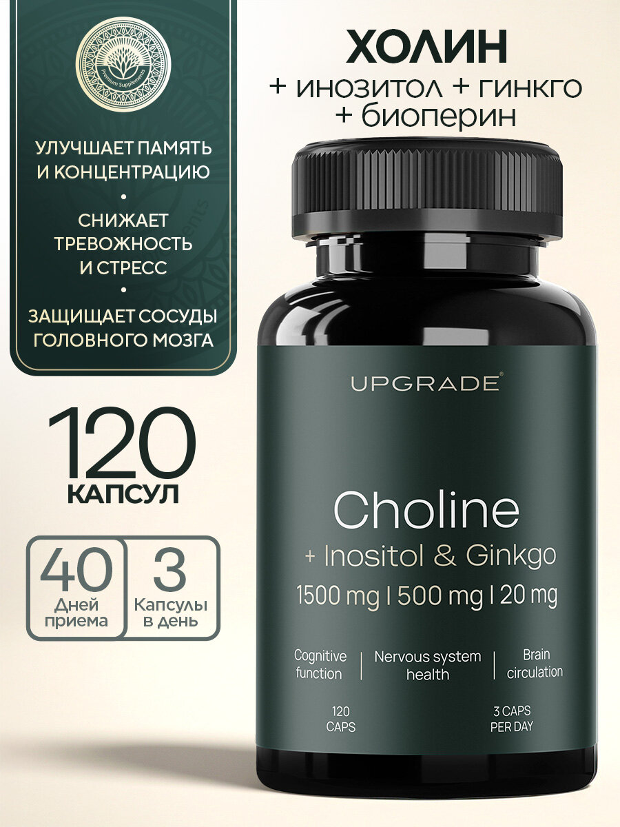 Холин + Инозитол + Гинкго 120 капсул массой 850 мг