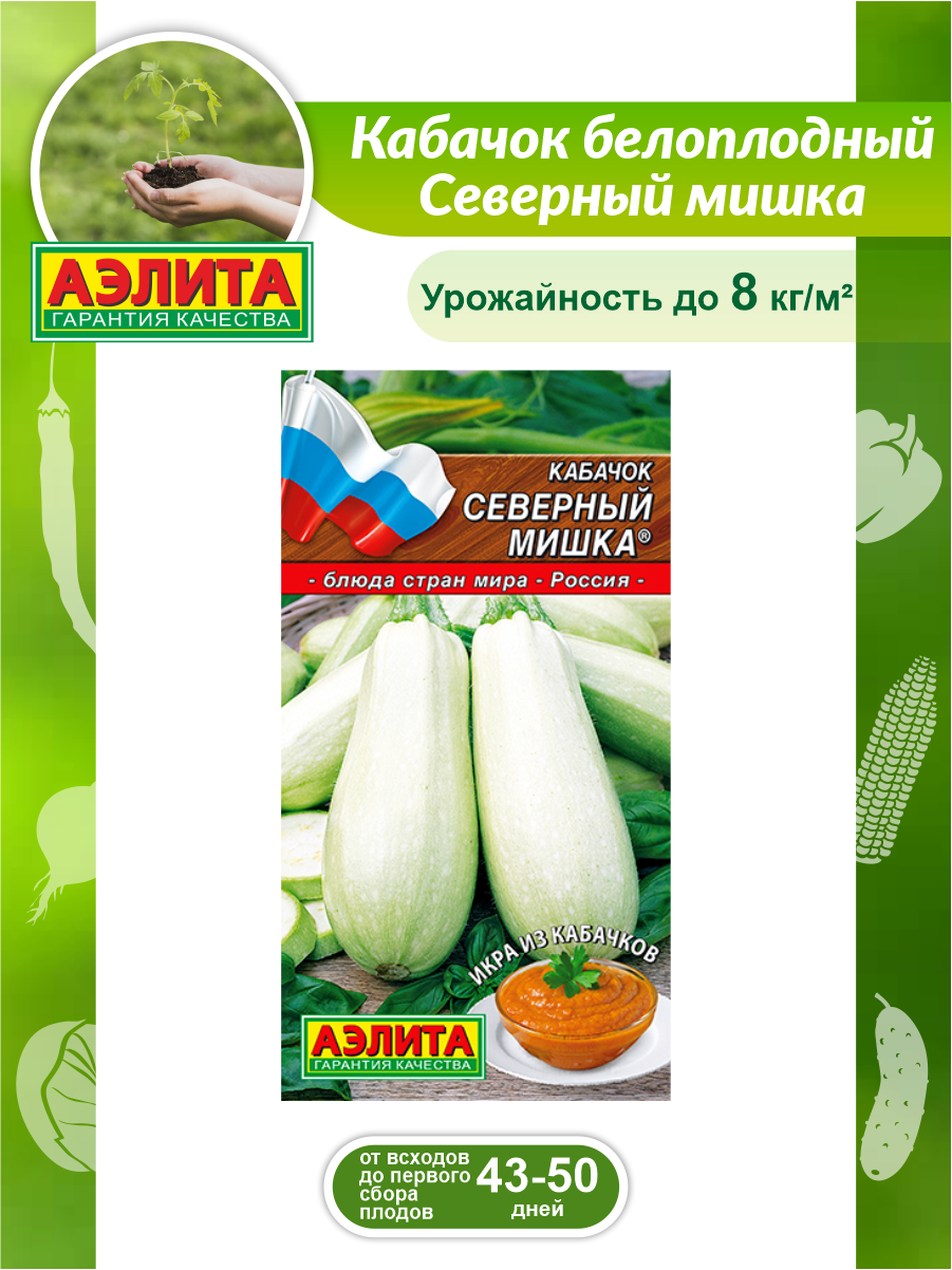 Семена Кабачок белоплодный Северный мишка - Блюда стран мира 2 гр.