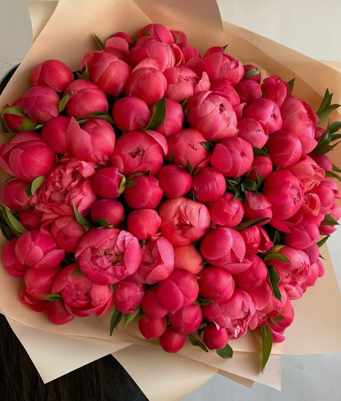 Премиум букет коралловых пионов 51 шт, премиум цветы, шикарный, красивый букет цветов, пионы.