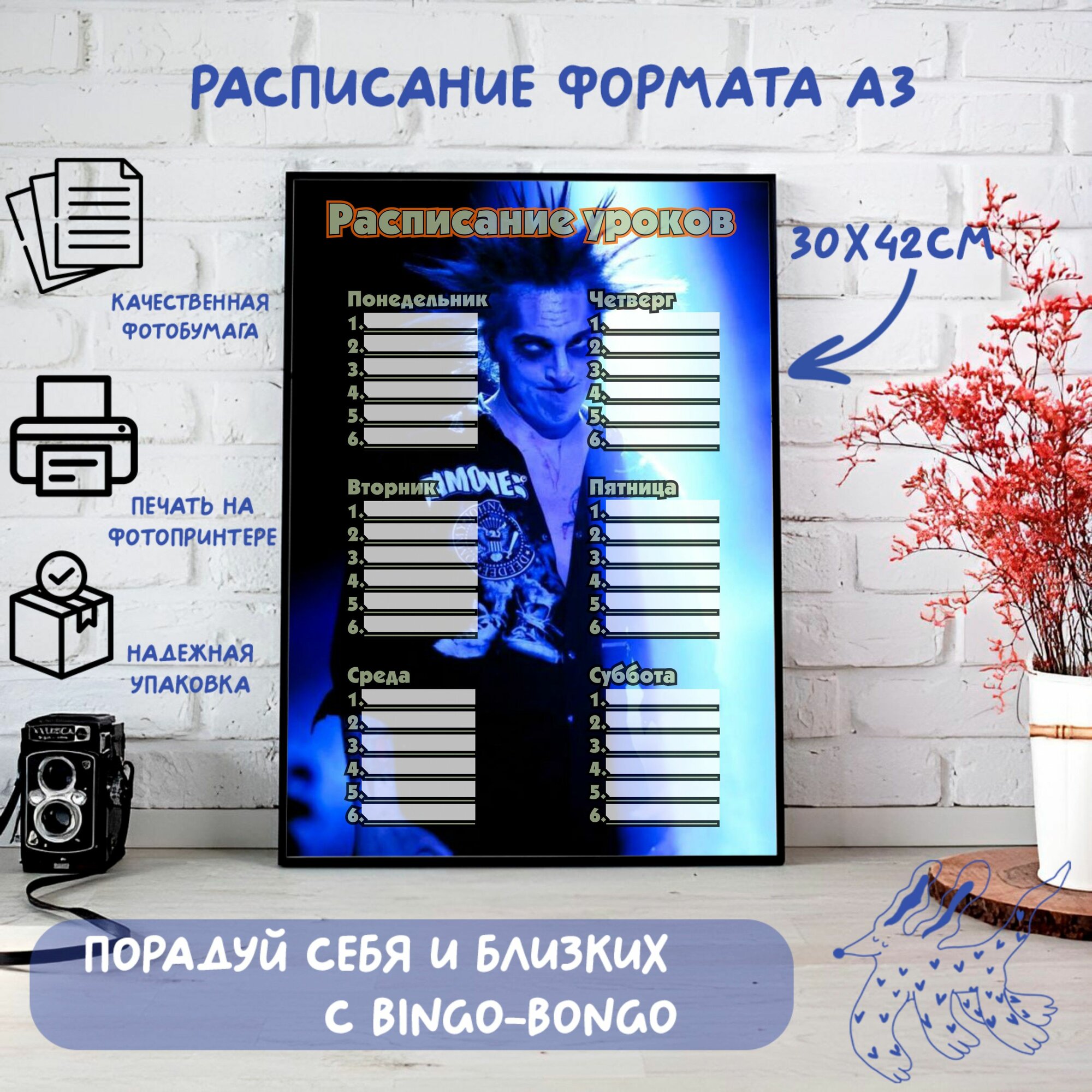 Расписание уроков формата А3 "Король и Шут"