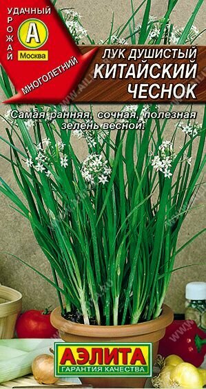 Лук душистый аэлита "Китайский чеснок", многолетний, семена, 3 упак.