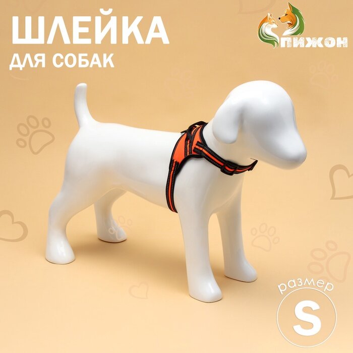 Шлейка улучшенная К7, размер S, ОГ 44-55 см, вес 5-9 кг, мягкая, светоотражающая, оранжевая