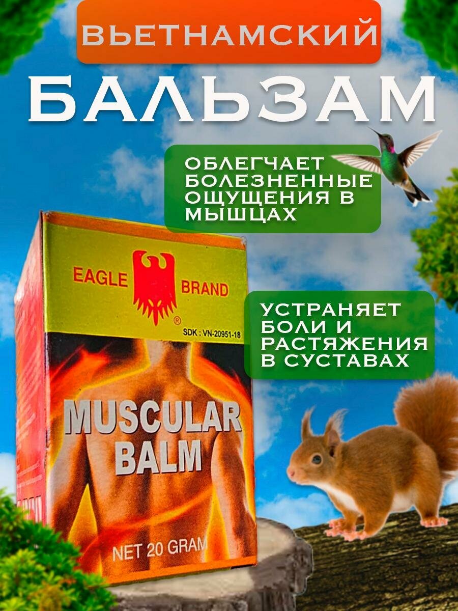 Вьетнамский бальзам Muscular Balm, от болей в мышцах и суставах, 20 гр