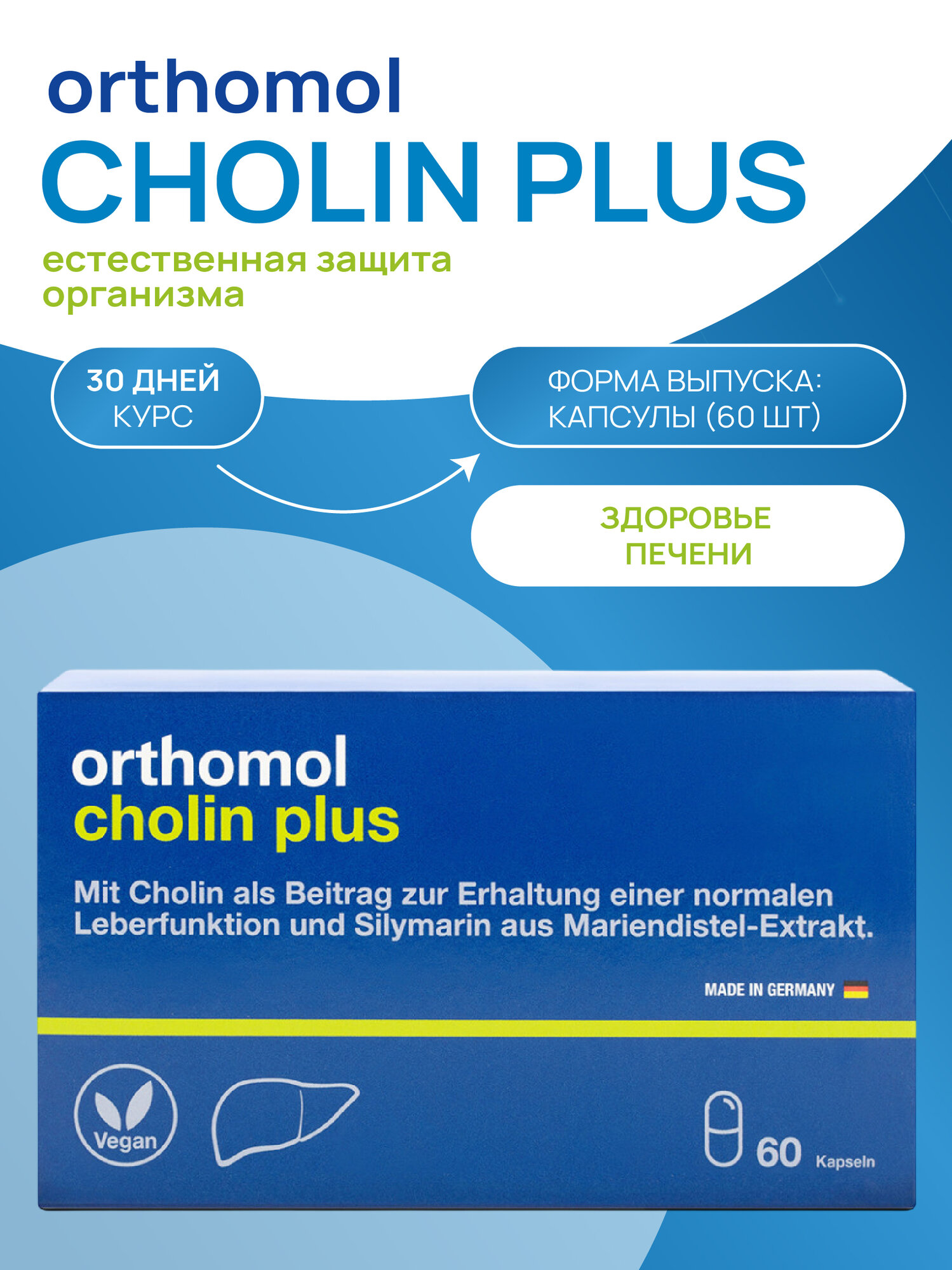 Orthomol Холин плюс капсулы №60