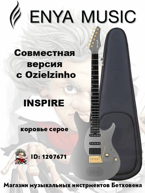 Электрогитара совместной модели с бразильцем Озейлзином