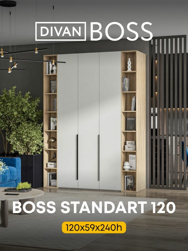 Шкаф распашной Босс Стандарт, 120х59х240 см, 3х дверный, шиншилла серая