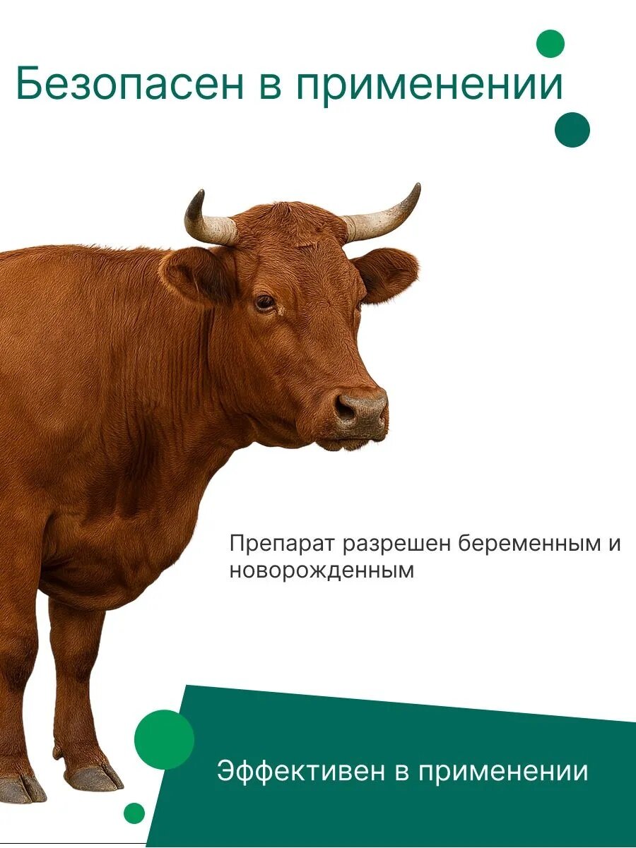 Препарат NITA-FARM Кетопрофен 10%, 100 мл, для всех видов животных — фото 1