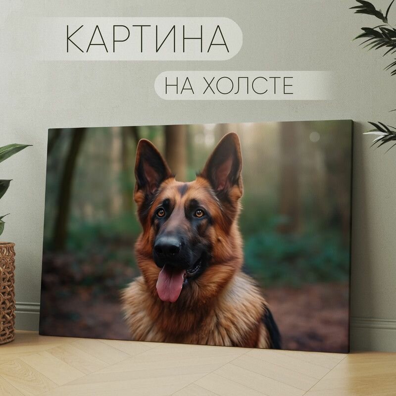 Картина на холсте Собака немецкая овчарка (5) 30х40 см