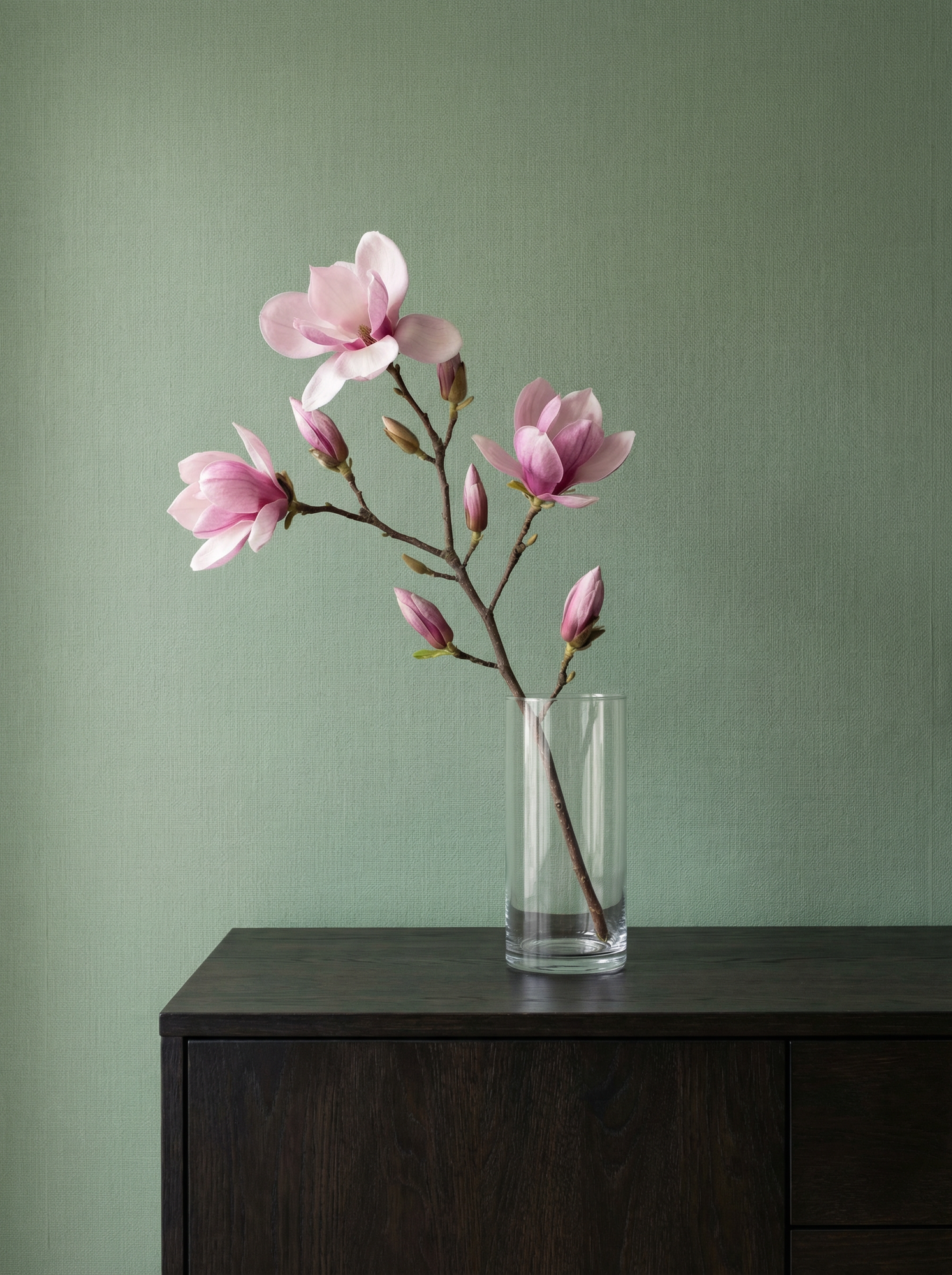 Магнолия ветка живая 1 шт — цветущая магнолия, премиум, доставка по Москве