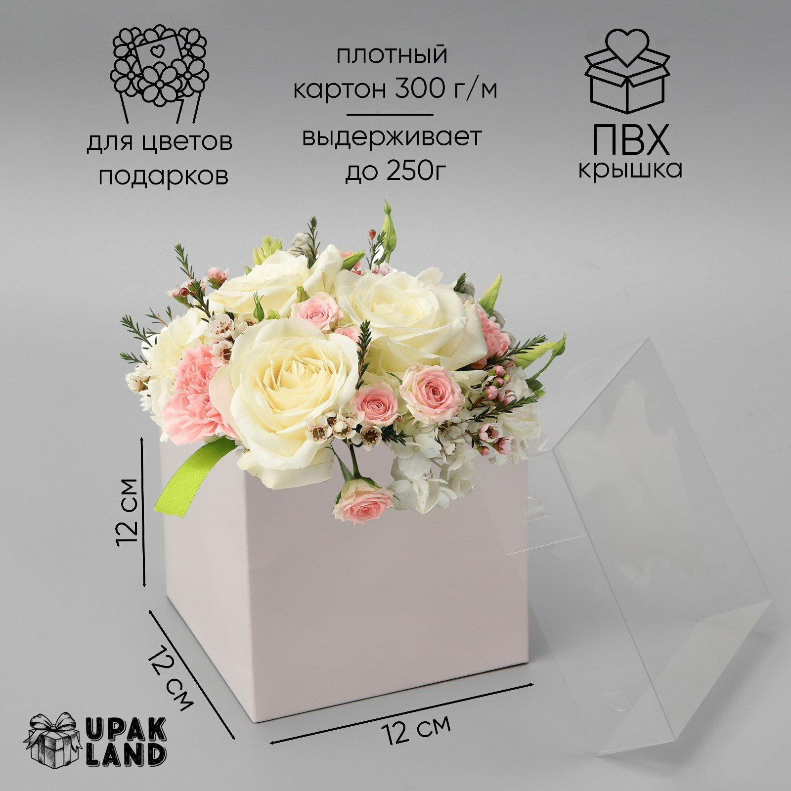 Коробка для цветов с PVC крышкой, 12x12x12 см, белая, цвет: белый, 2 шт.
