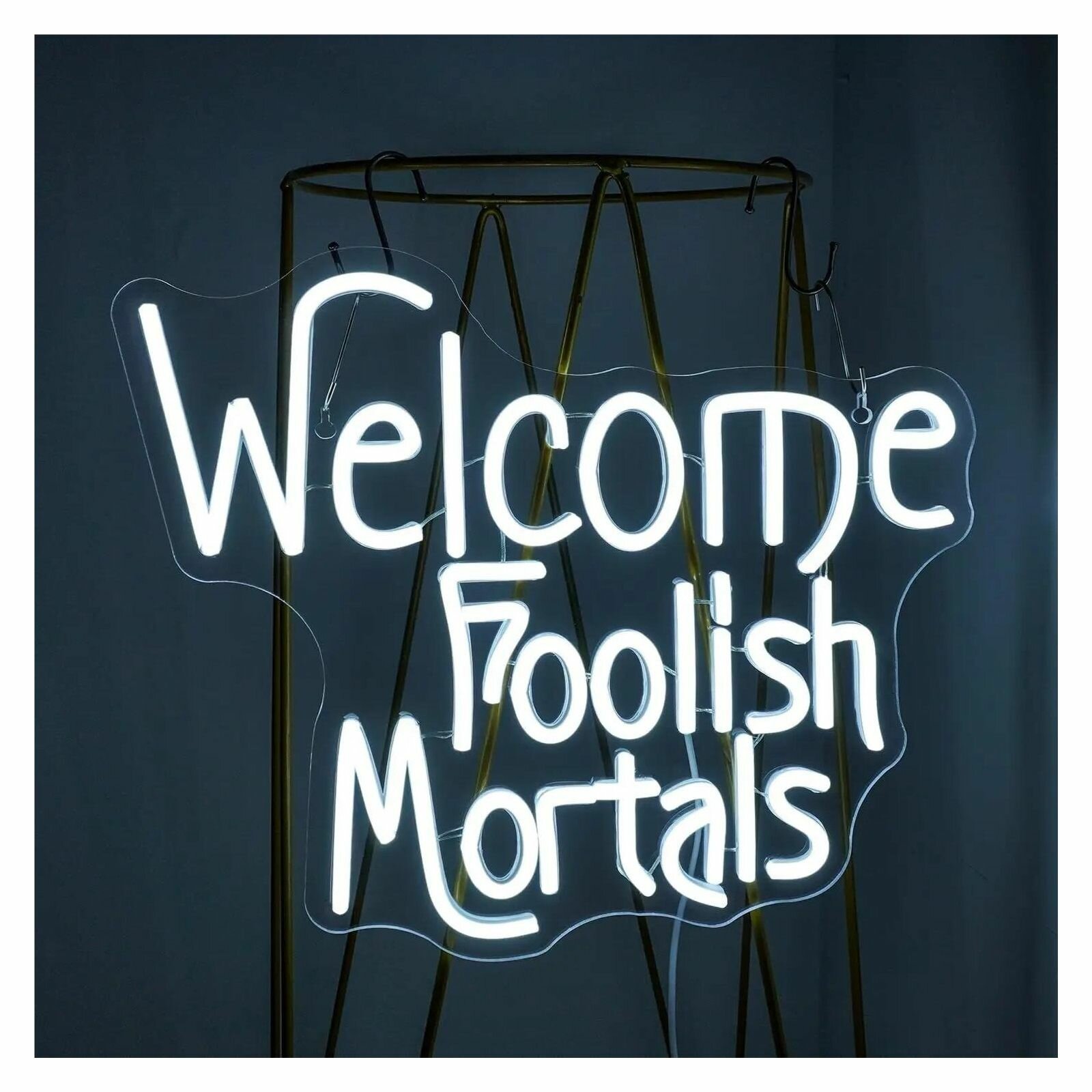 Welcome Foolish Mortal Неоновая Вывеска 38смх32см