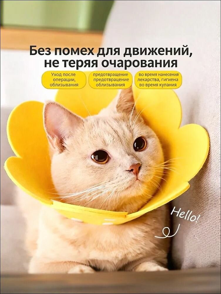 Елизаветинский ошейник с подсолнухами, кошачий ошейник против вылизывания, повязка на голову.