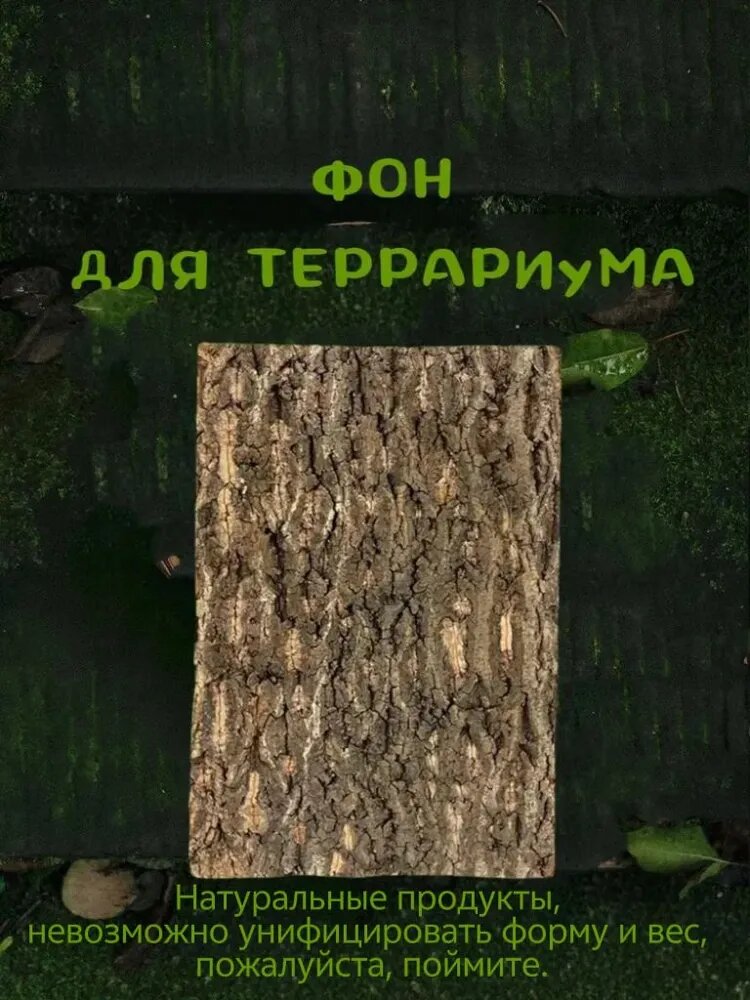 Фон для террариума из дерева