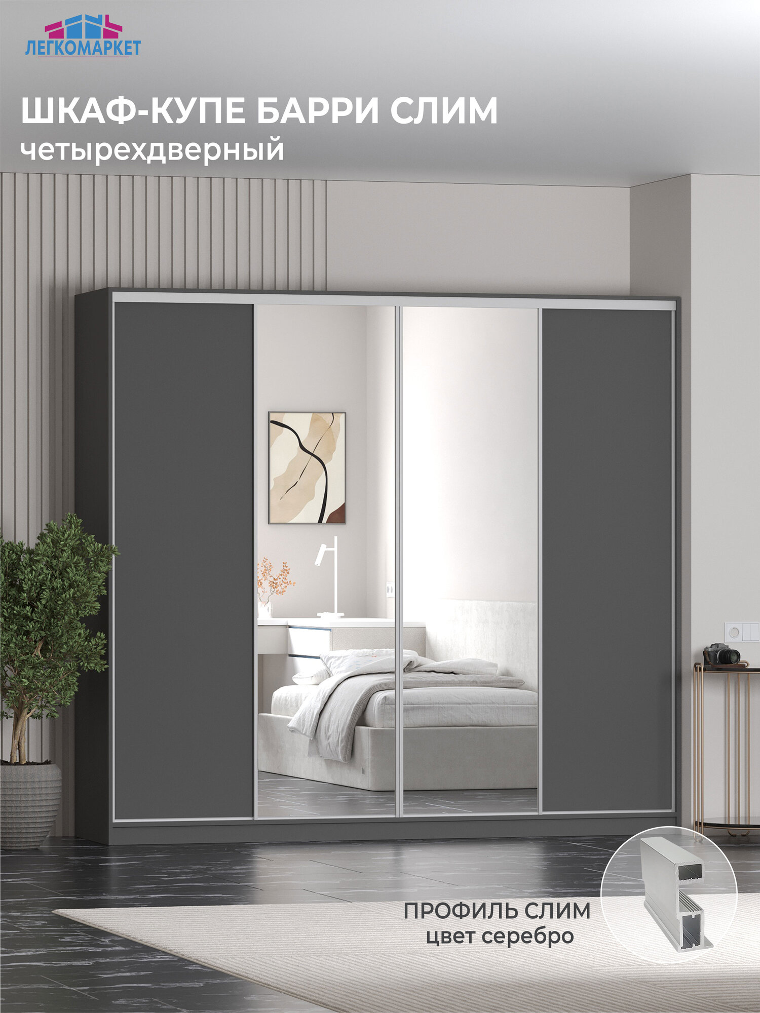 Шкаф-купе с зеркалом Барри Слим 4 220-45-220 графит профиль серебро белье-платье-платье