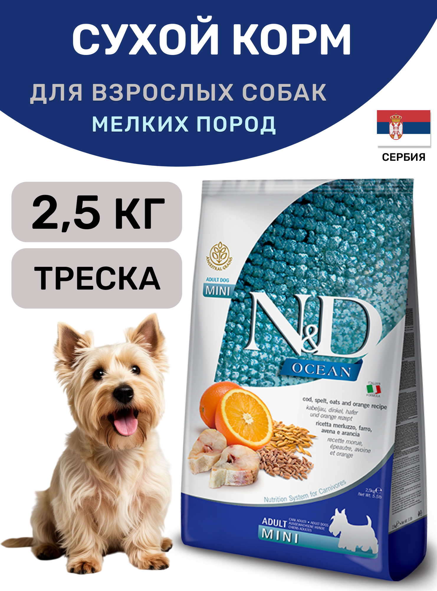 Сухой корм с треской и апельсином для собак мелких пород Farmina N&D Ocean Adult Mini, 2,5 кг