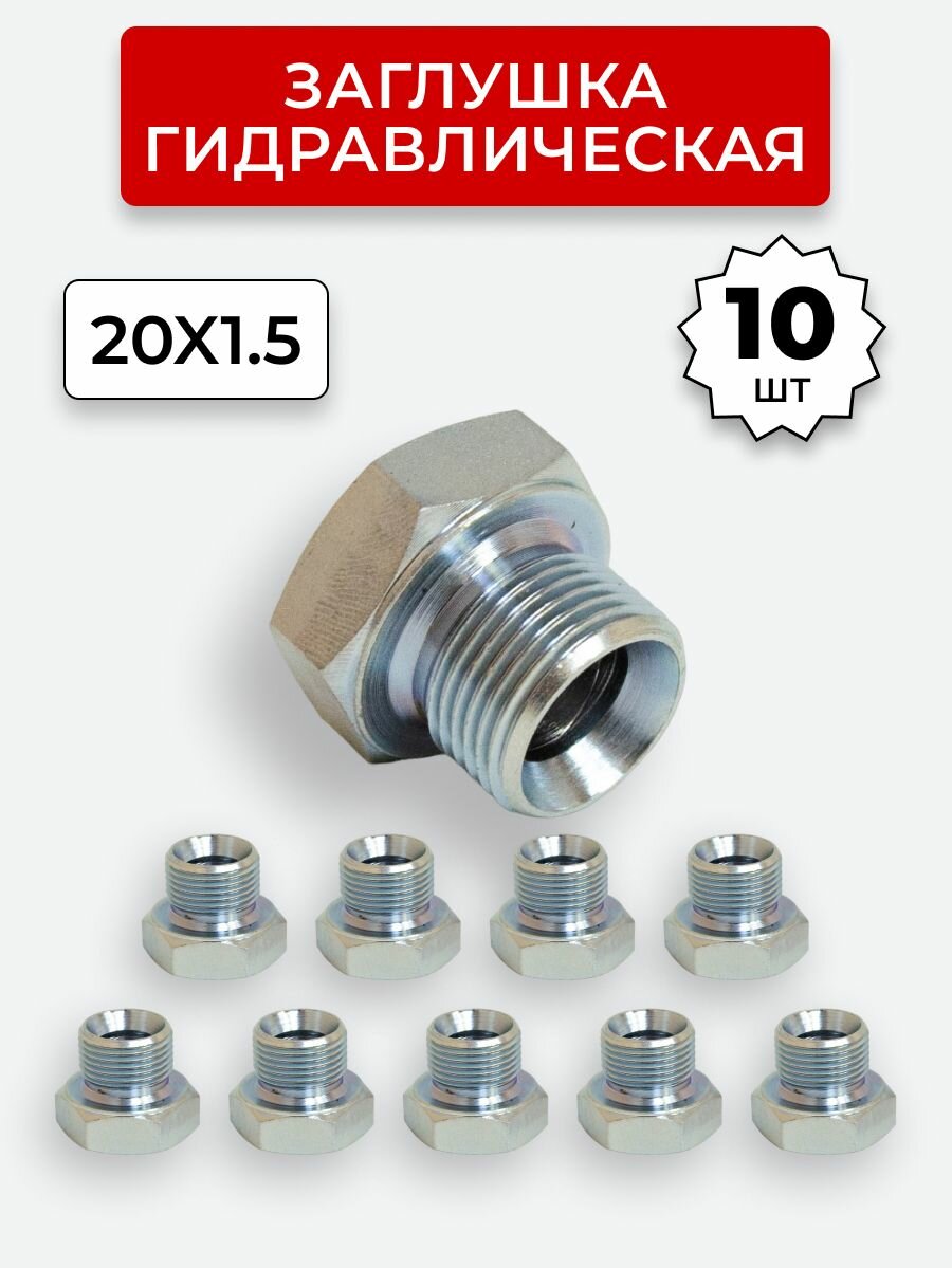 Заглушка (пробка) гидравлическая Штуцер DK 20х1,5 10 шт.